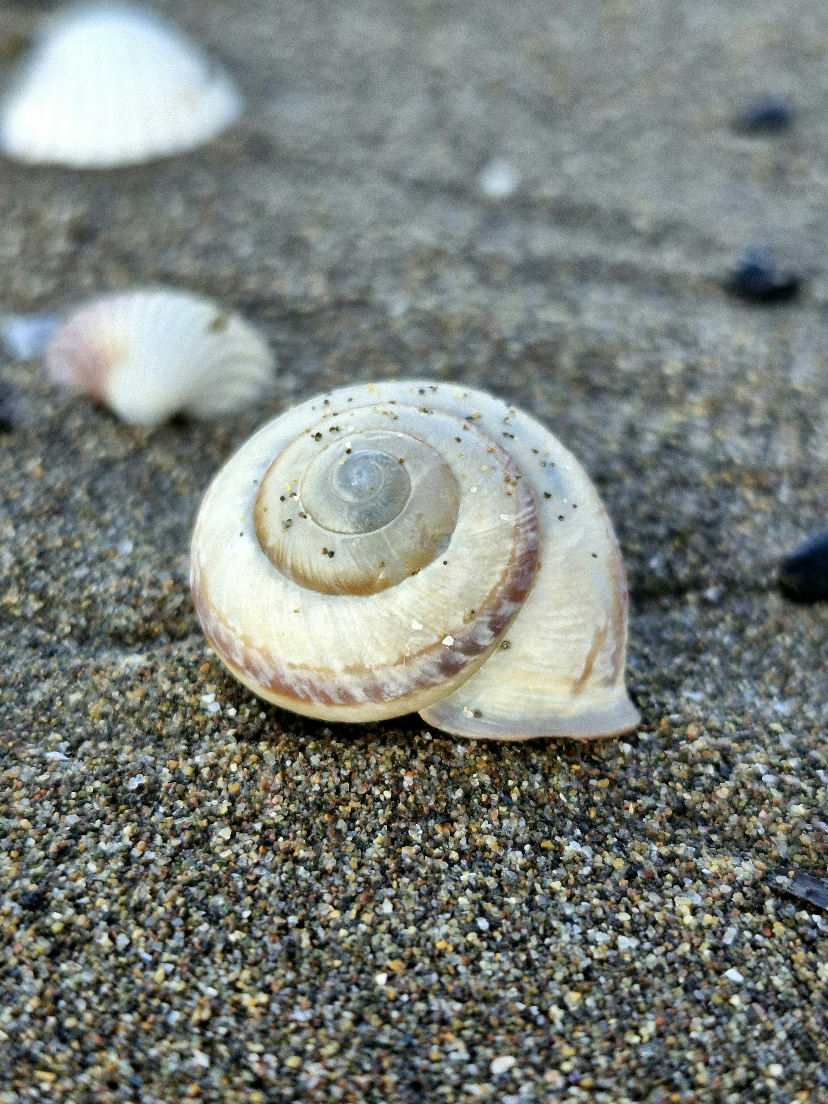 Sample photo from Samsung Galaxy S23 FE