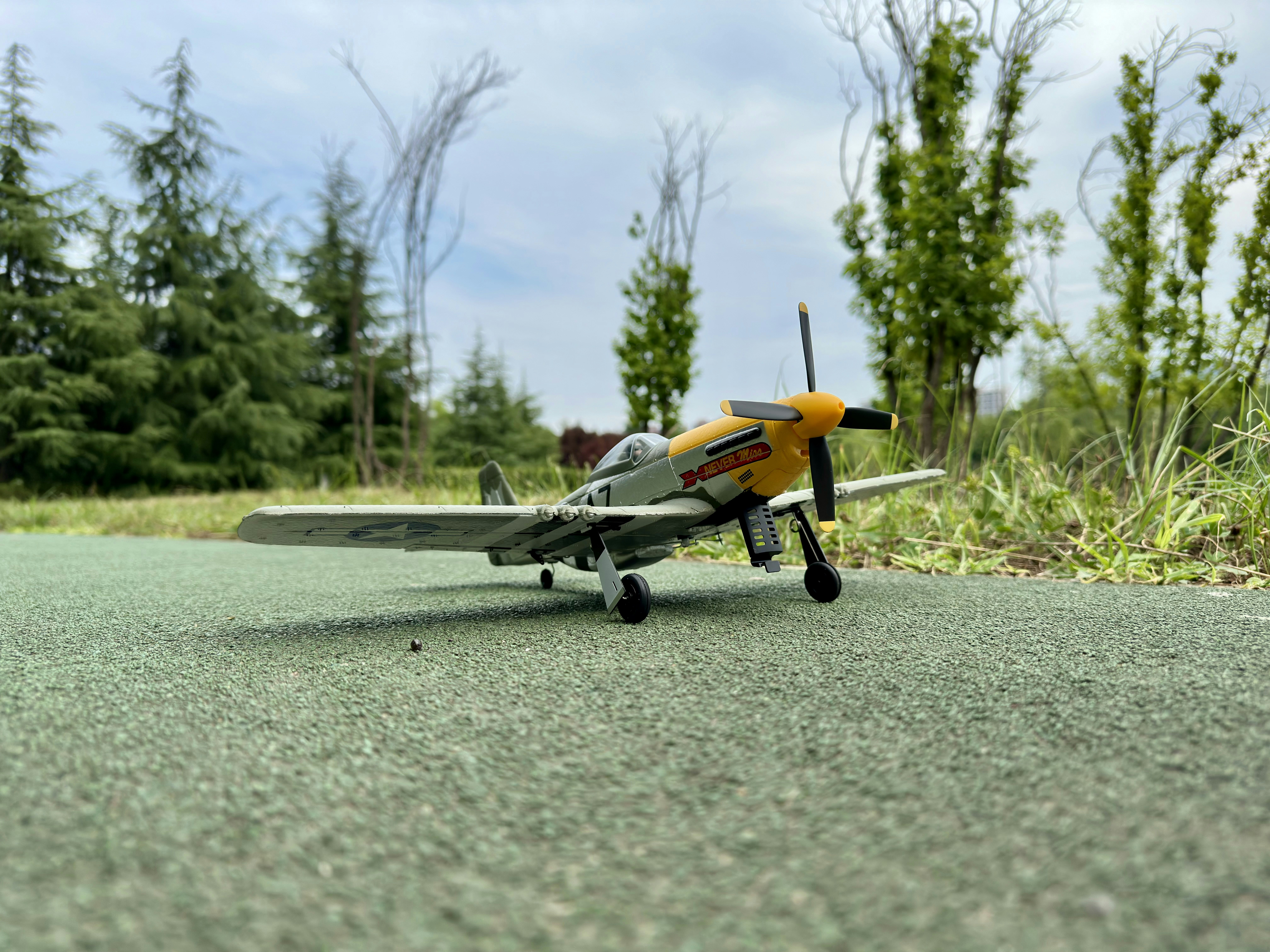 Miniature Aviation on a Verdant Runway