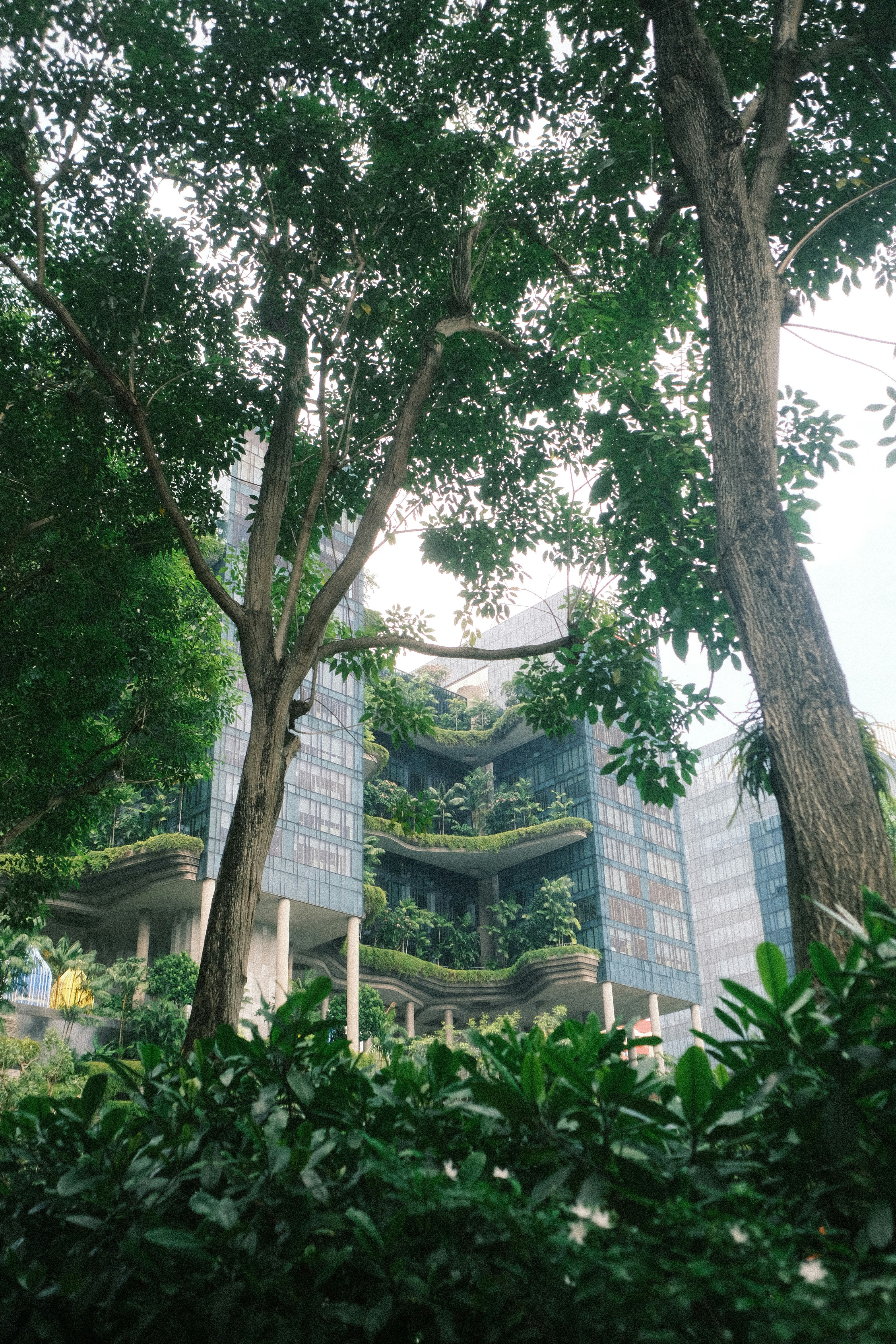 Photo by Anthony Lim with Fujifilm X-T4