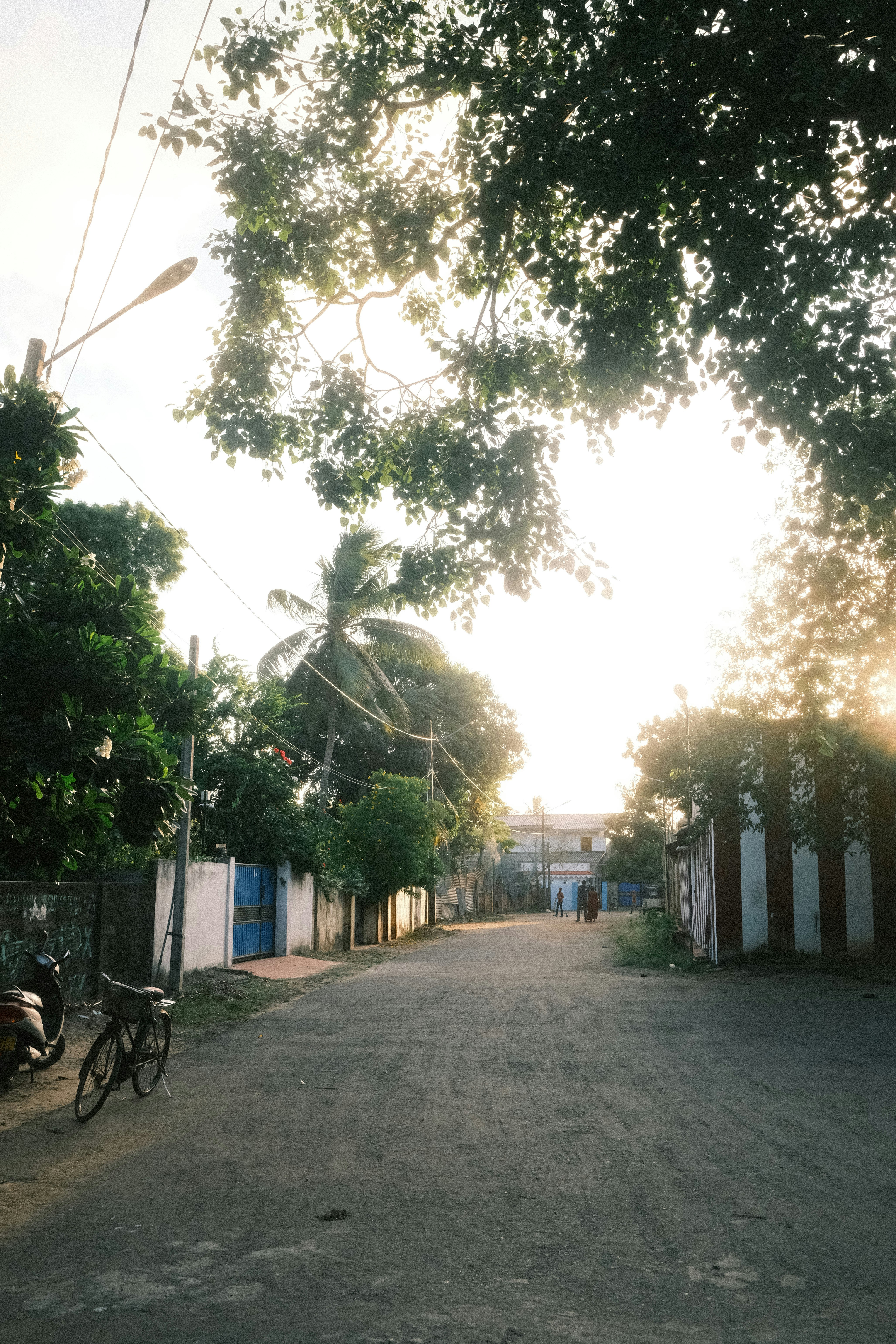 A serene street scene featuring a dirt road lined with lush trees and a few scattered buildings, bathed in the warm glow of a setting sun.
