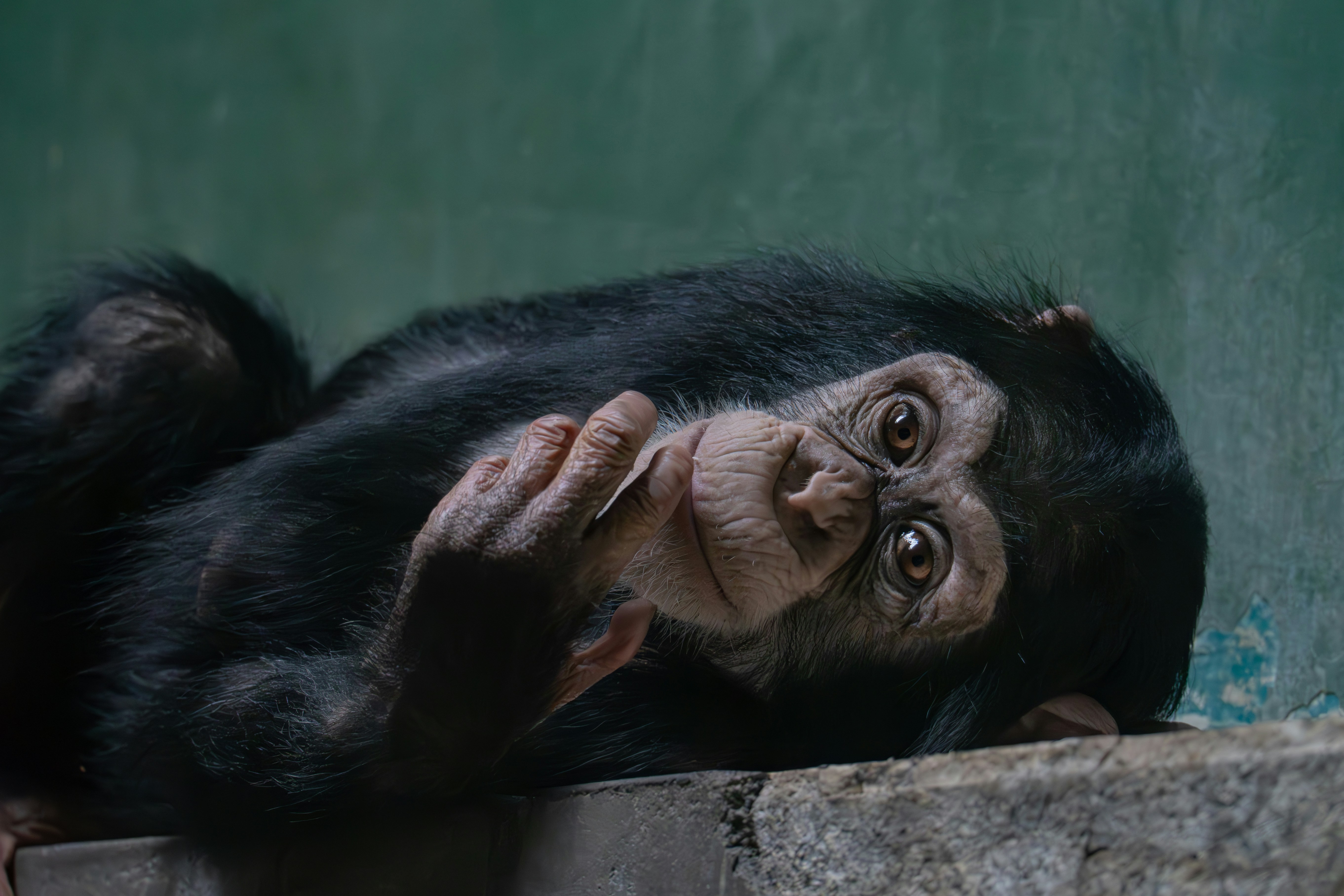 Photo by Jason Wo with SONY ZV-E10