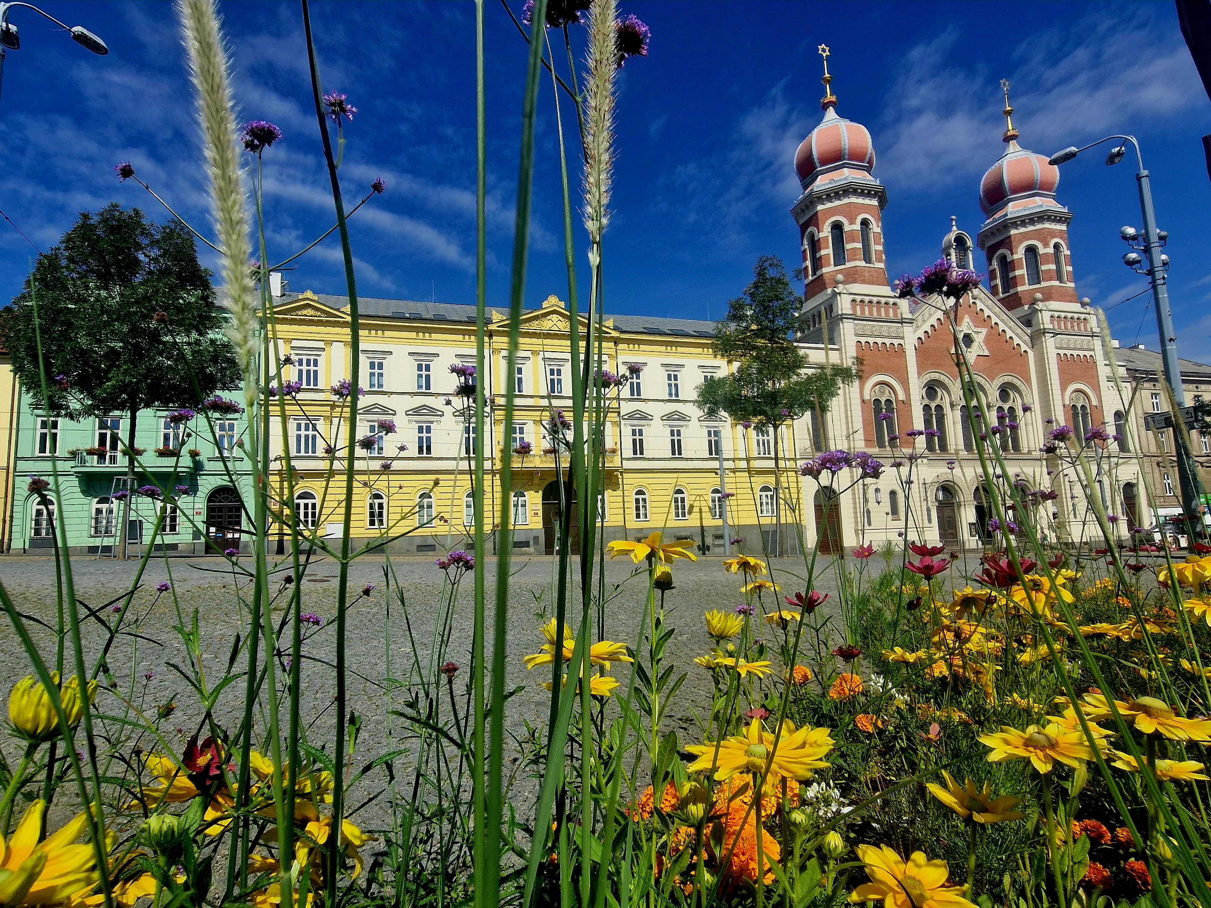 A large building with a lot of flowers in front of it photo – Free ...