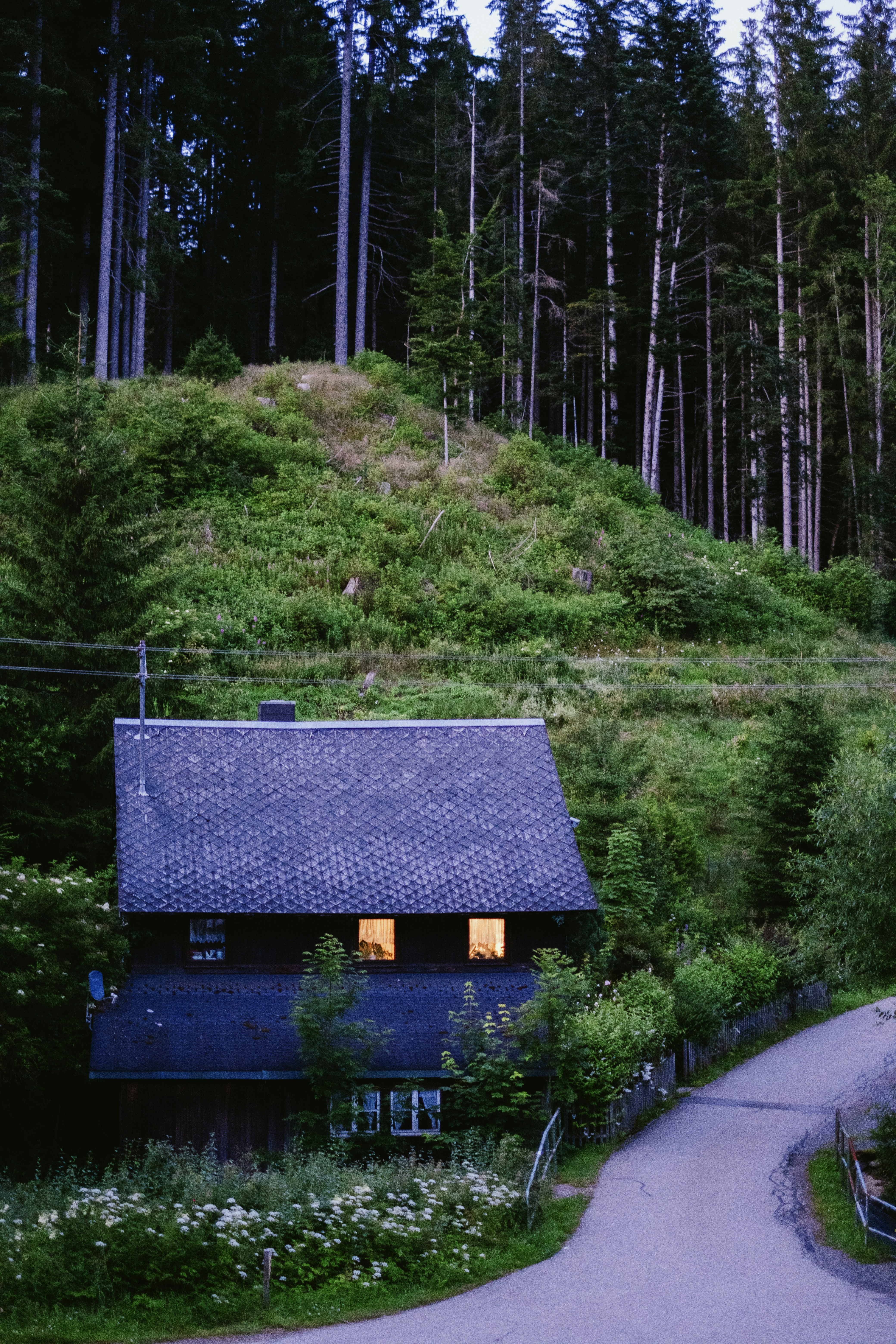 Photo by Miikka Luotio with Fujifilm X-Pro3