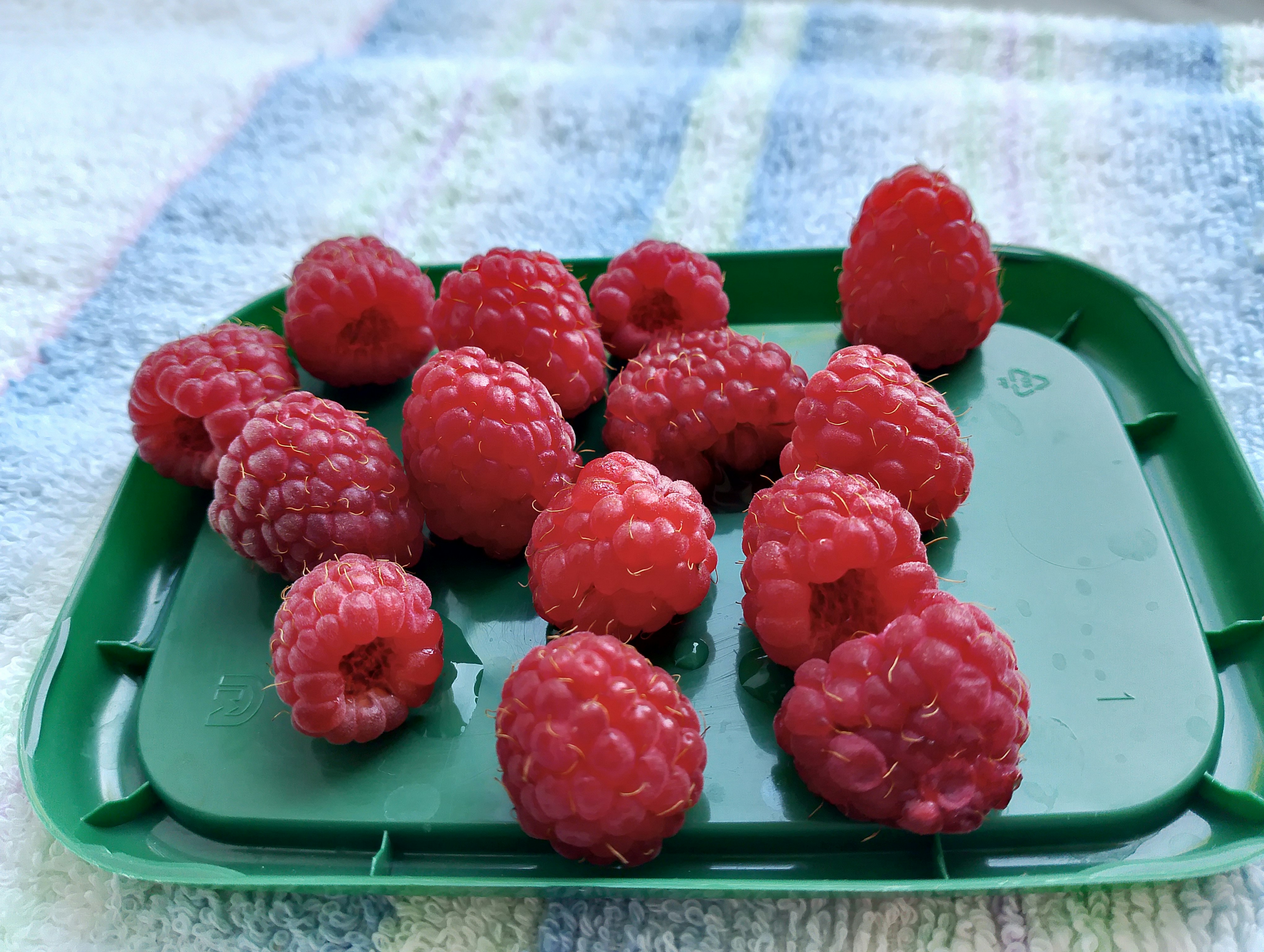 A green tray filled with raspberries on top of a towel photo – Free ...