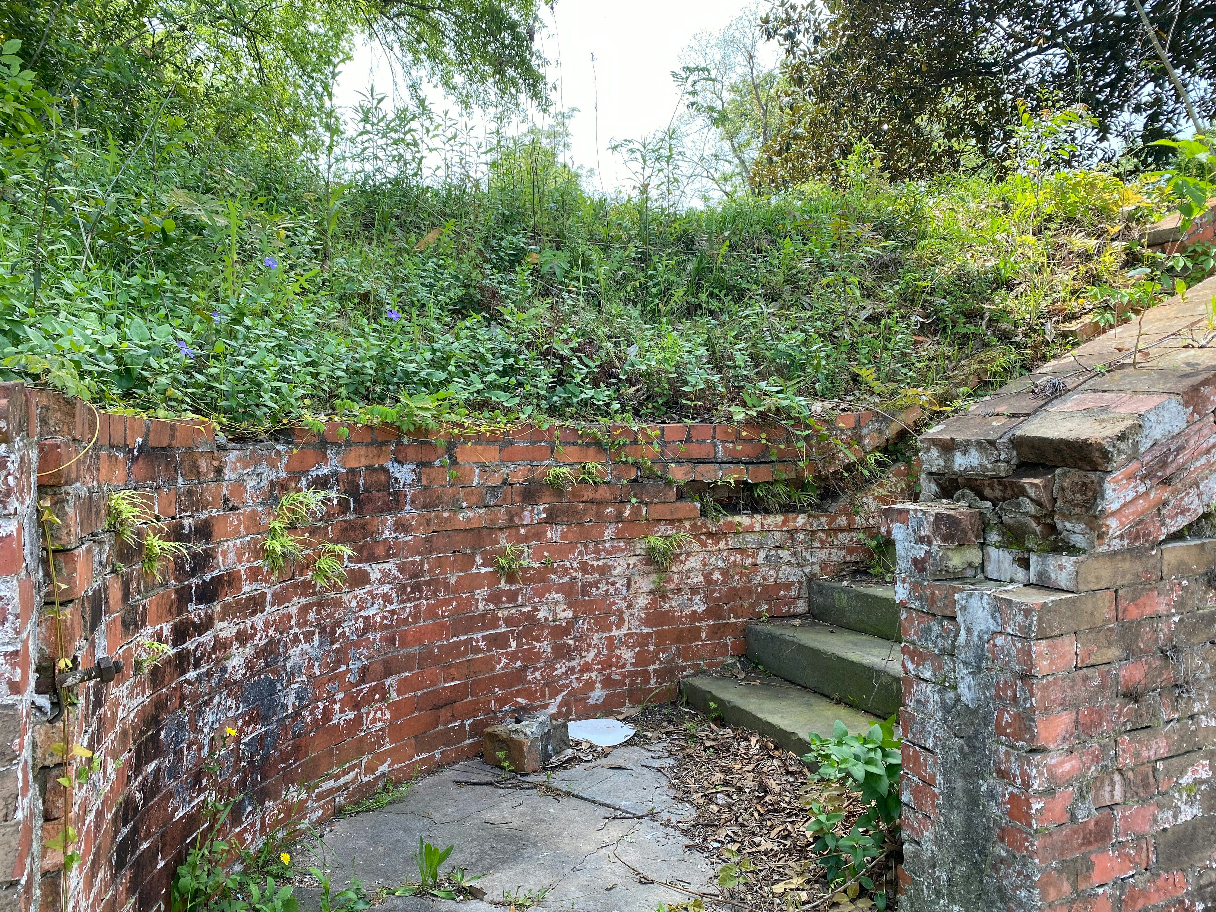 Rustic Brick Passageway to Nature's Embrace