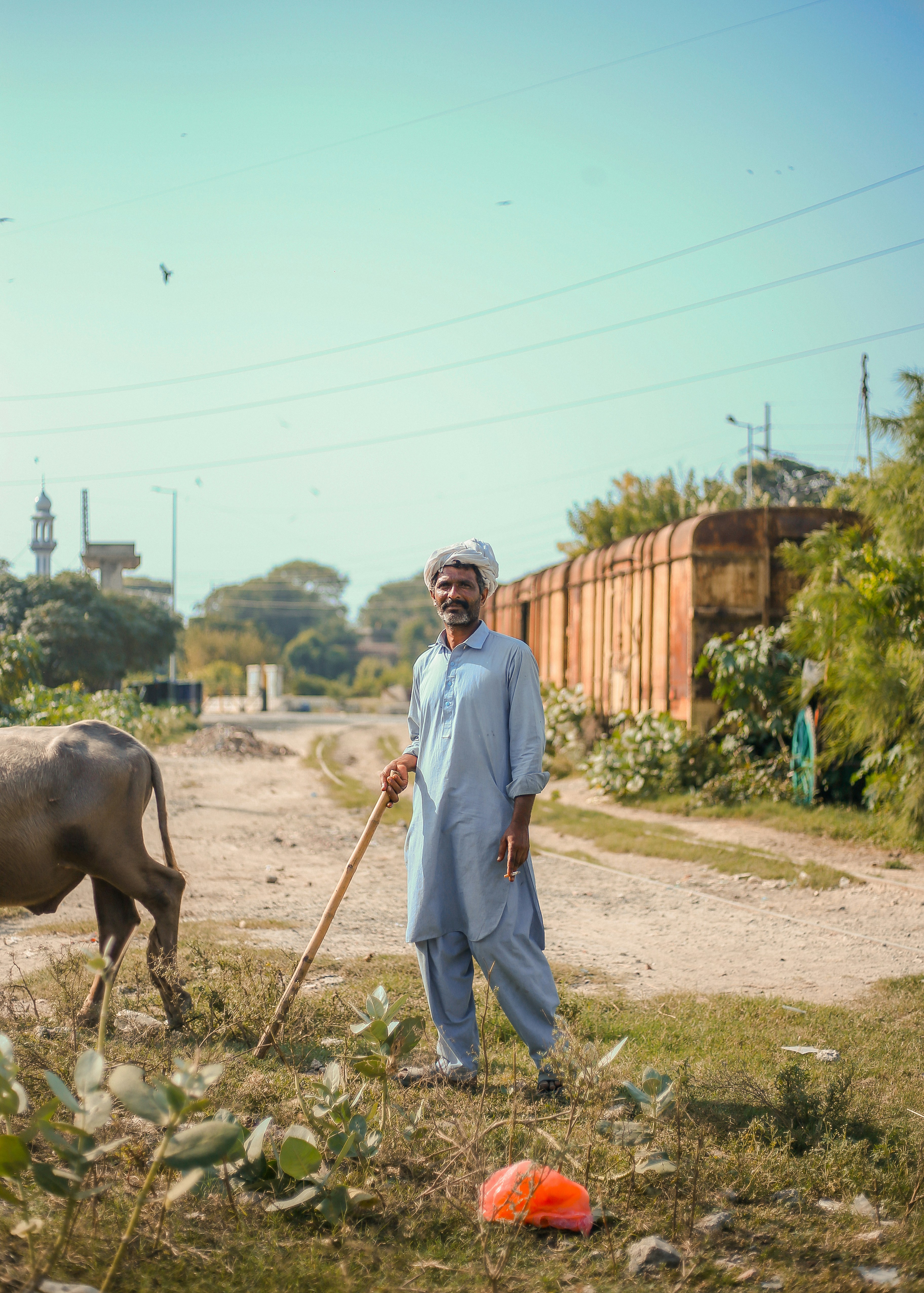 A Quiet Lifeline: The Farmer with the Cane and the Road Ahead