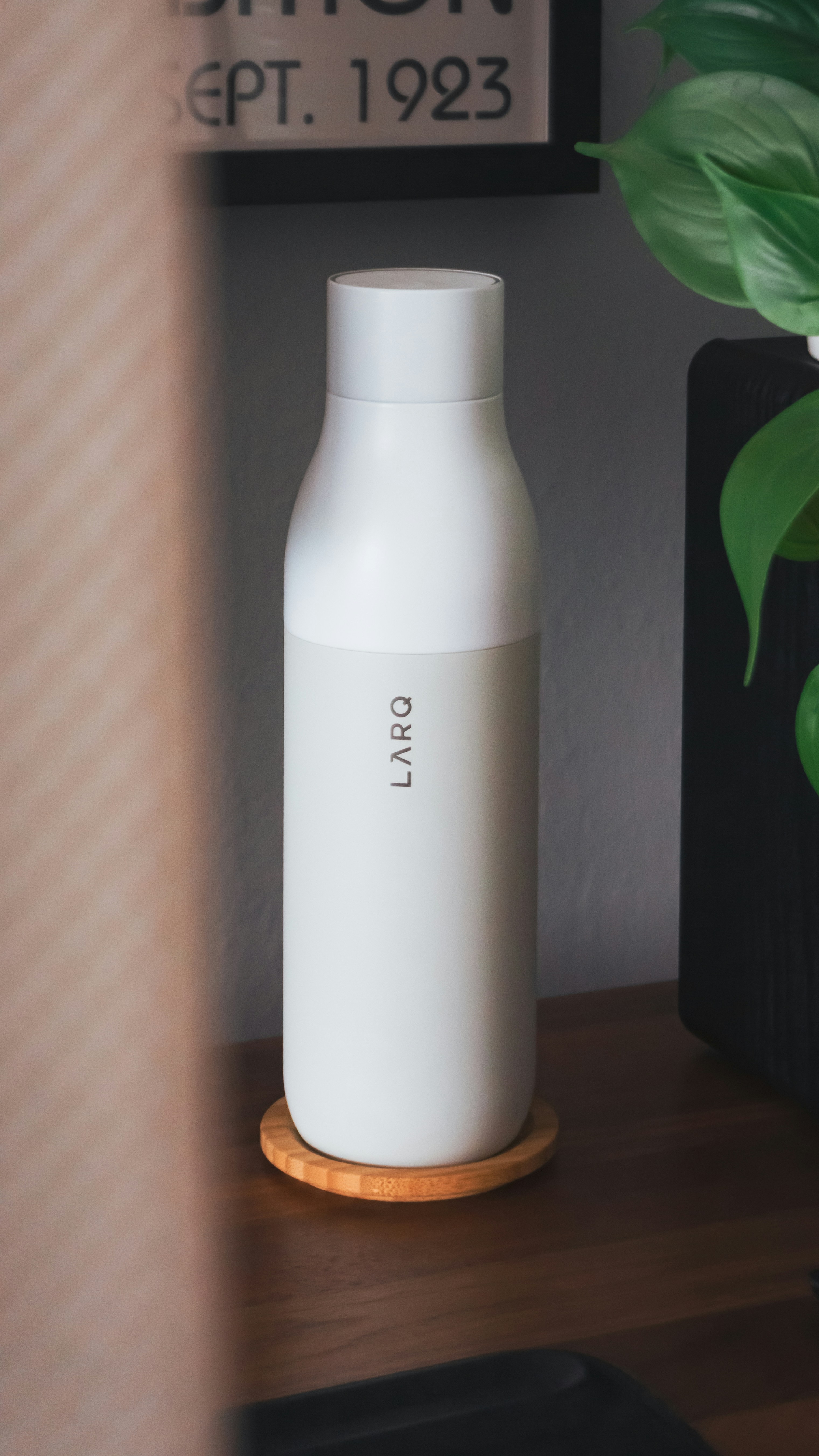 Minimalist White Bottle on Wooden Base Anchored by Plant Shadow