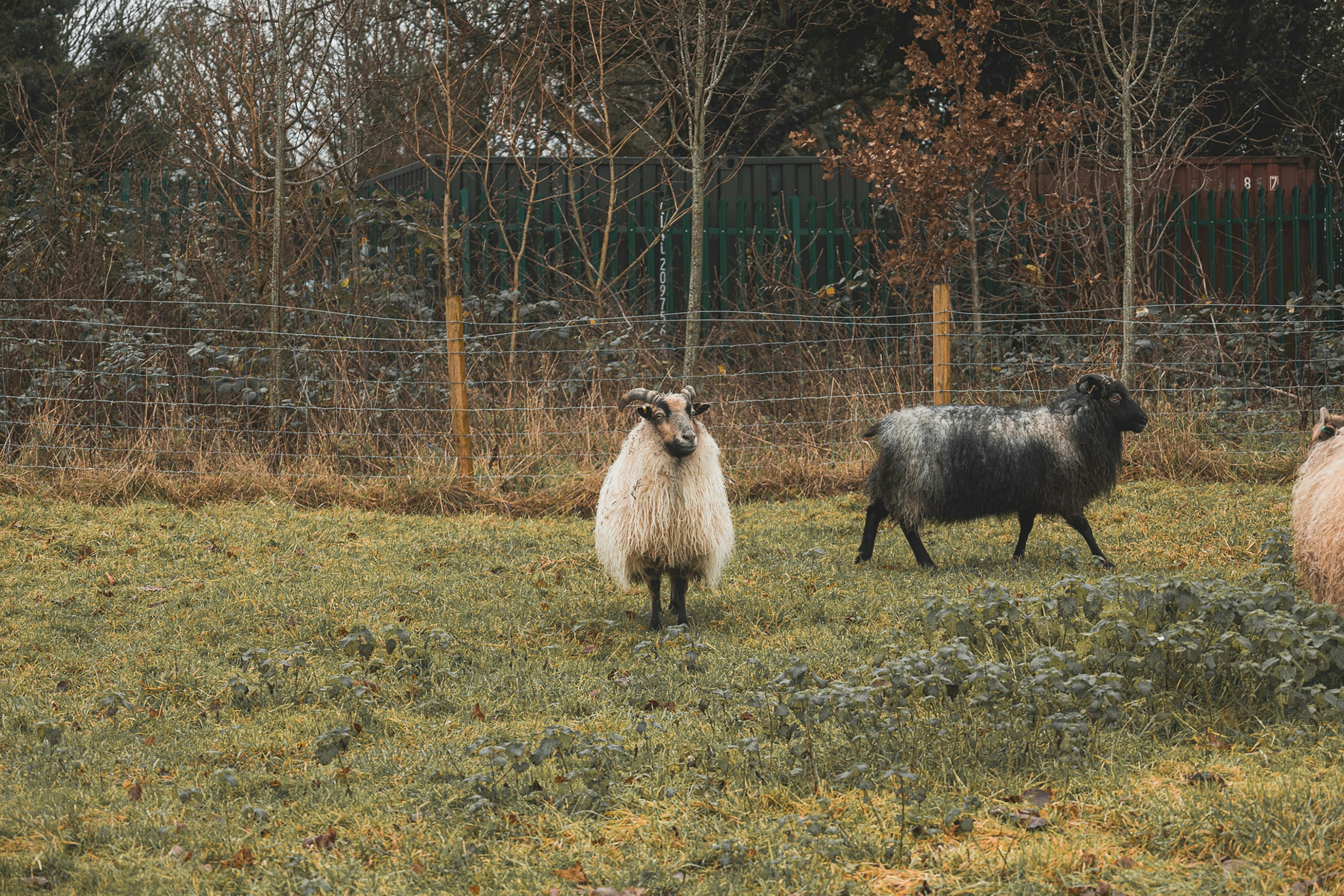 Photo by Samuel Meller with Canon EOS R