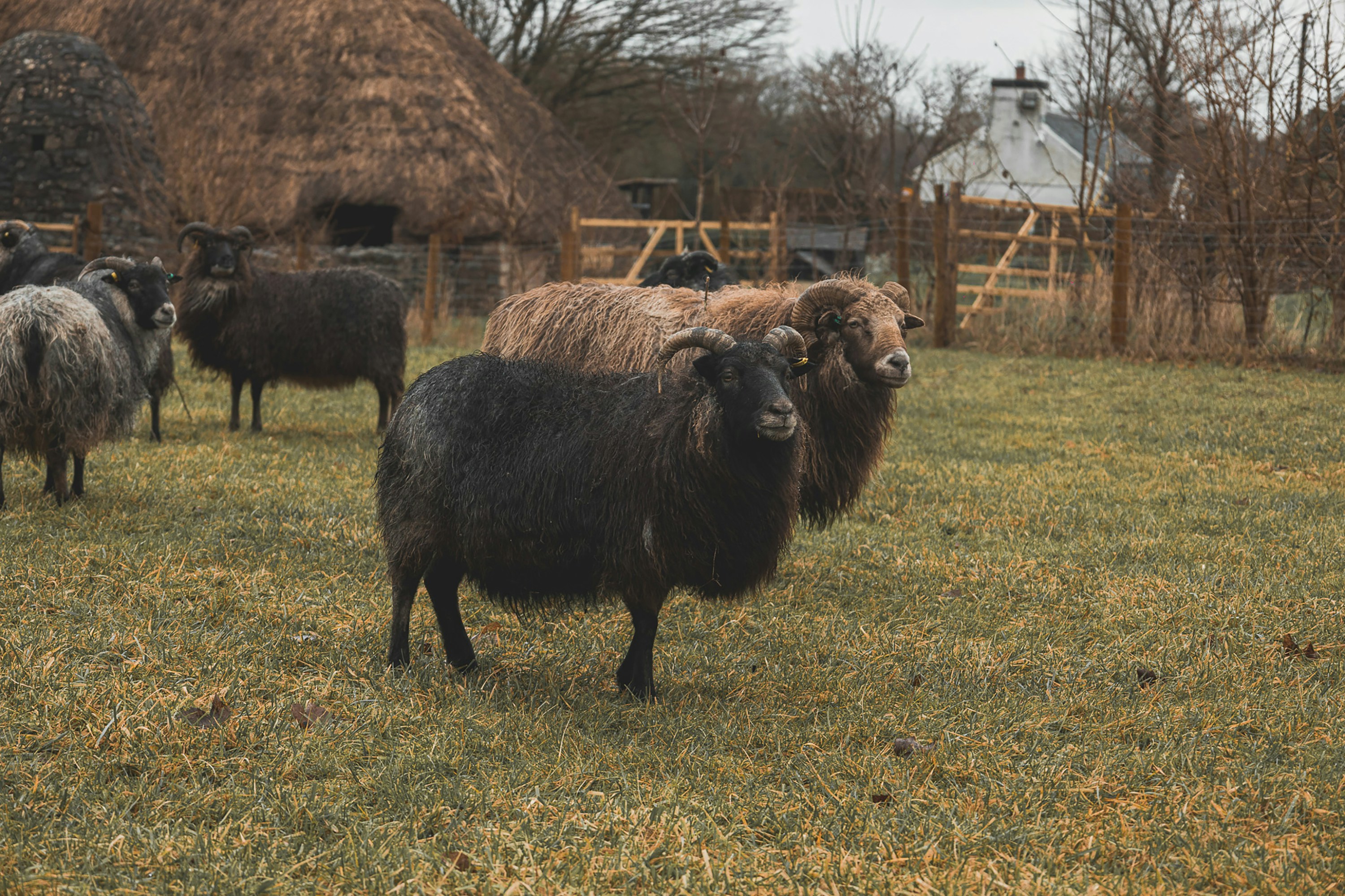 Photo by Samuel Meller with Canon EOS R