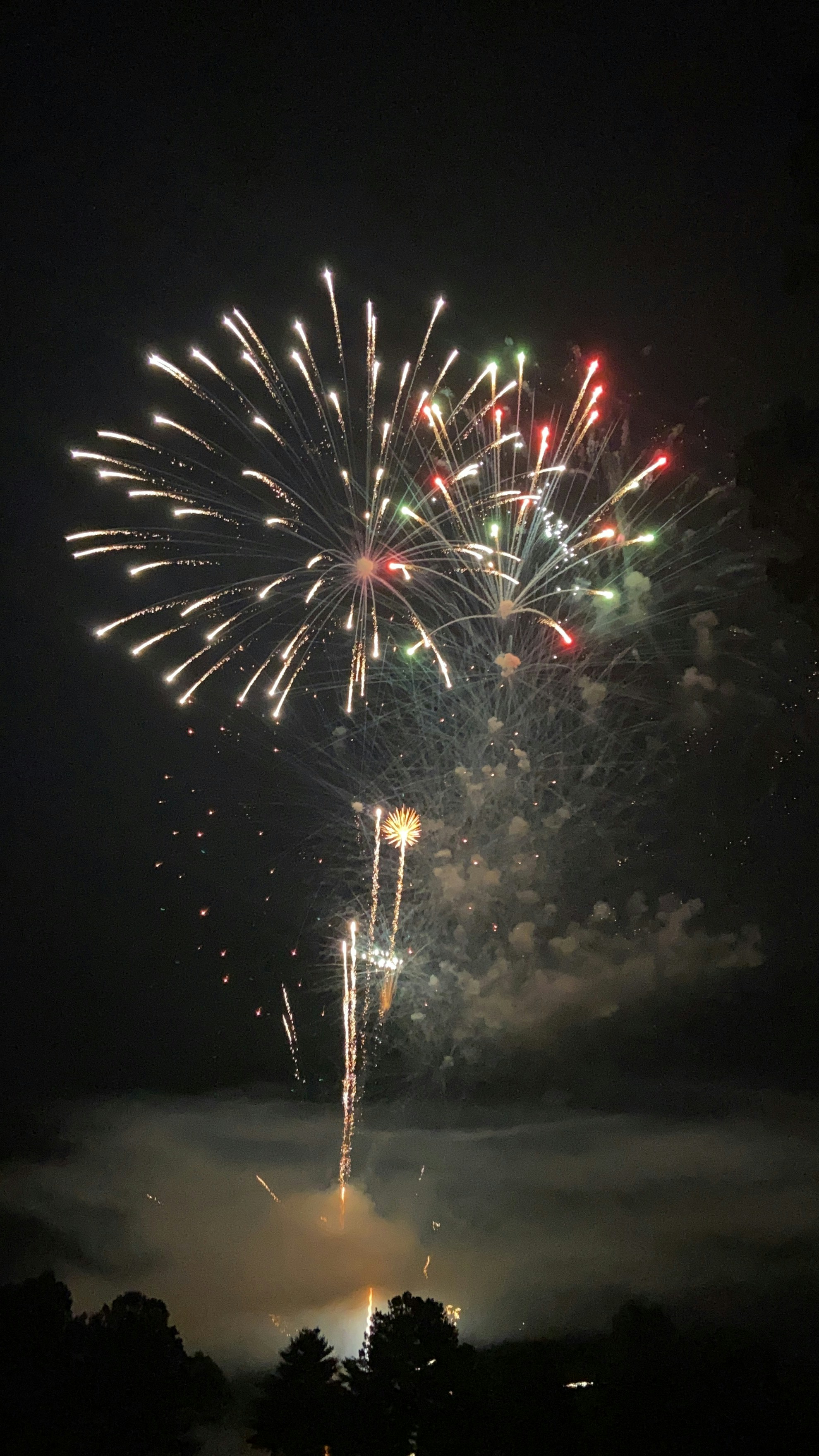 Midnight Bloom: Multicolor Fireworks Over a Quiet Forest