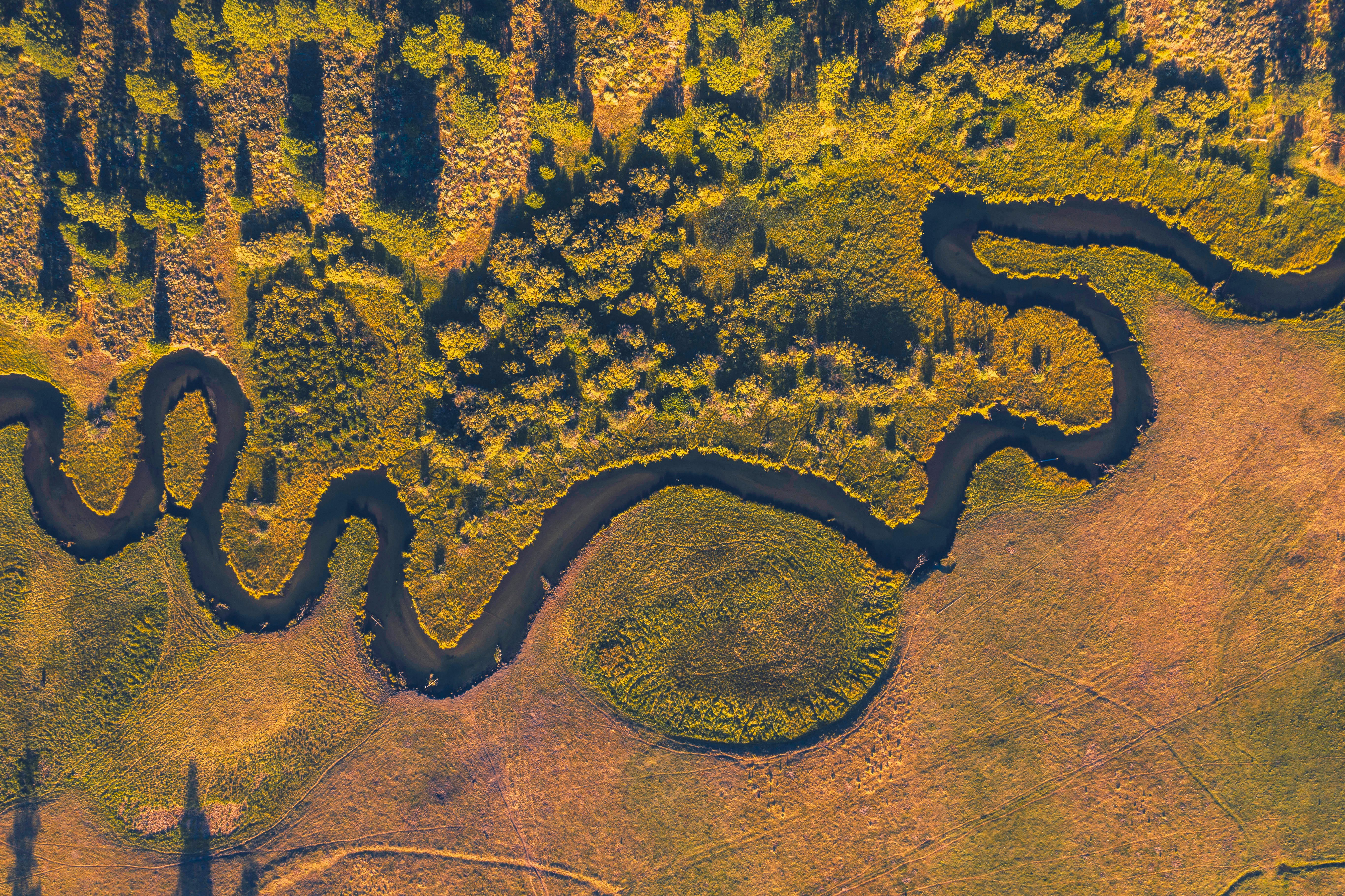 Watershed Pictures | Download Free Images on Unsplash