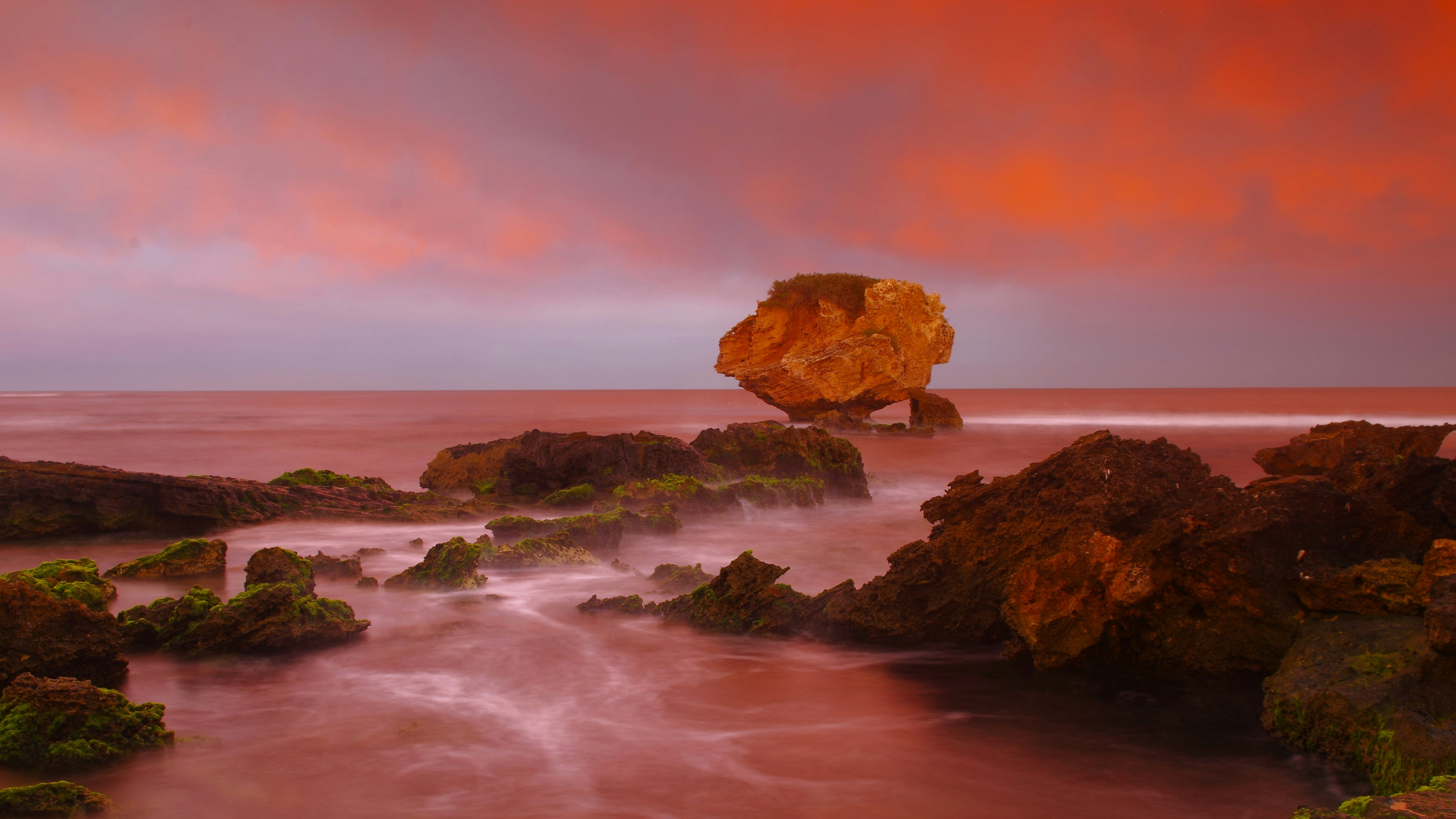 Silhouette of a Coastal Sentinel at Sunset