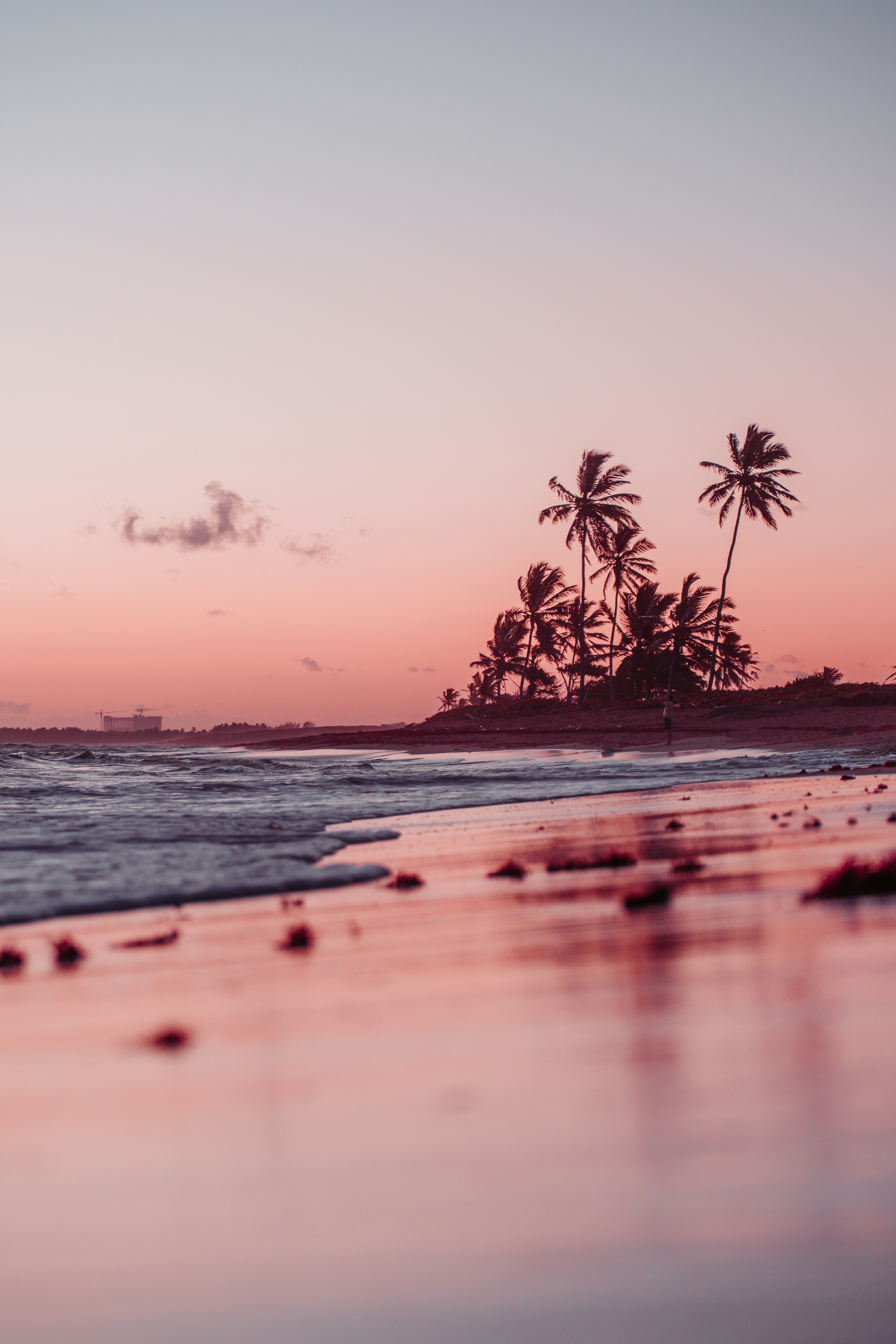 A beach at sunset with palm trees in the background photo – Free Beach ...