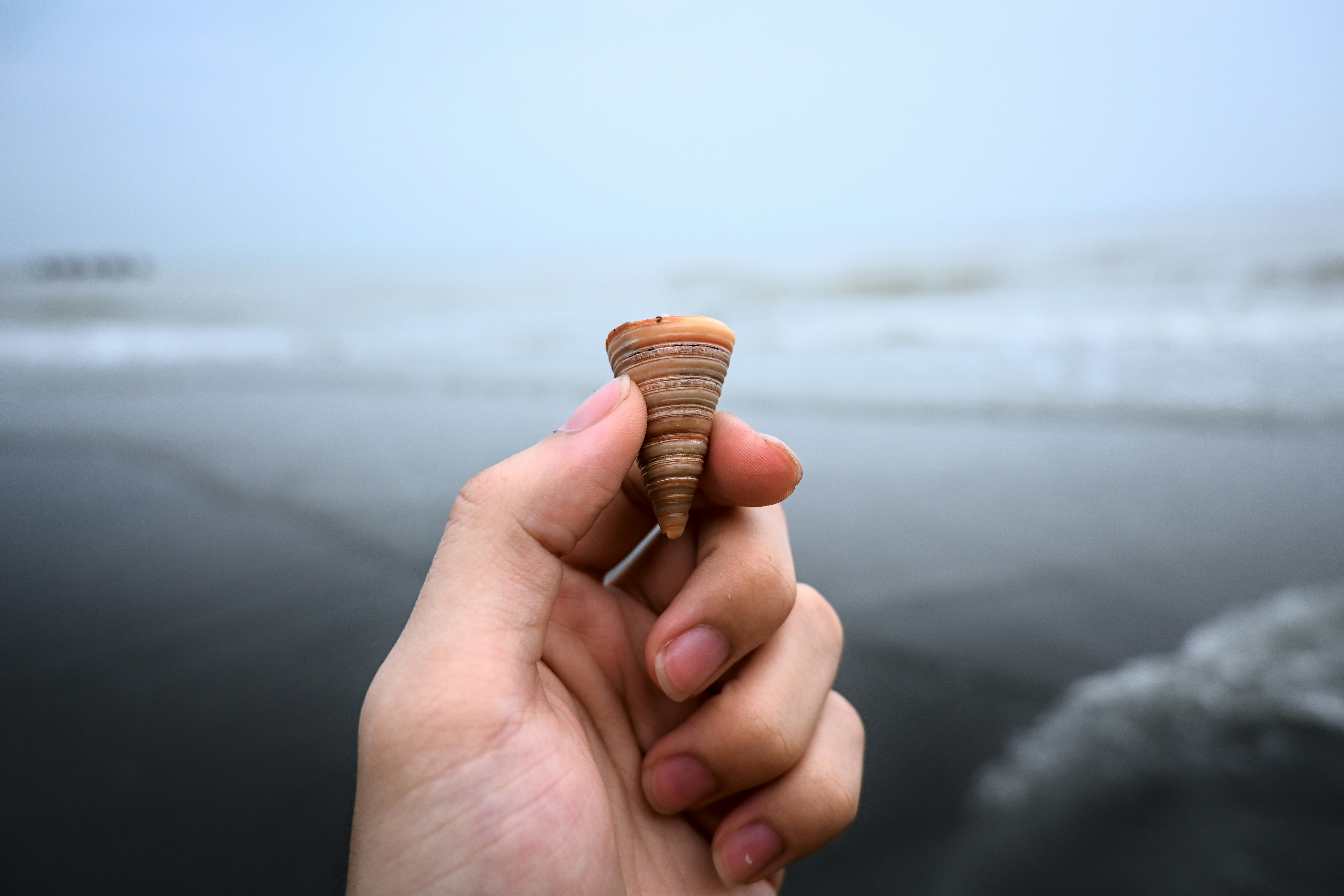 Left Hand Pictures | Download Free Images on Unsplash