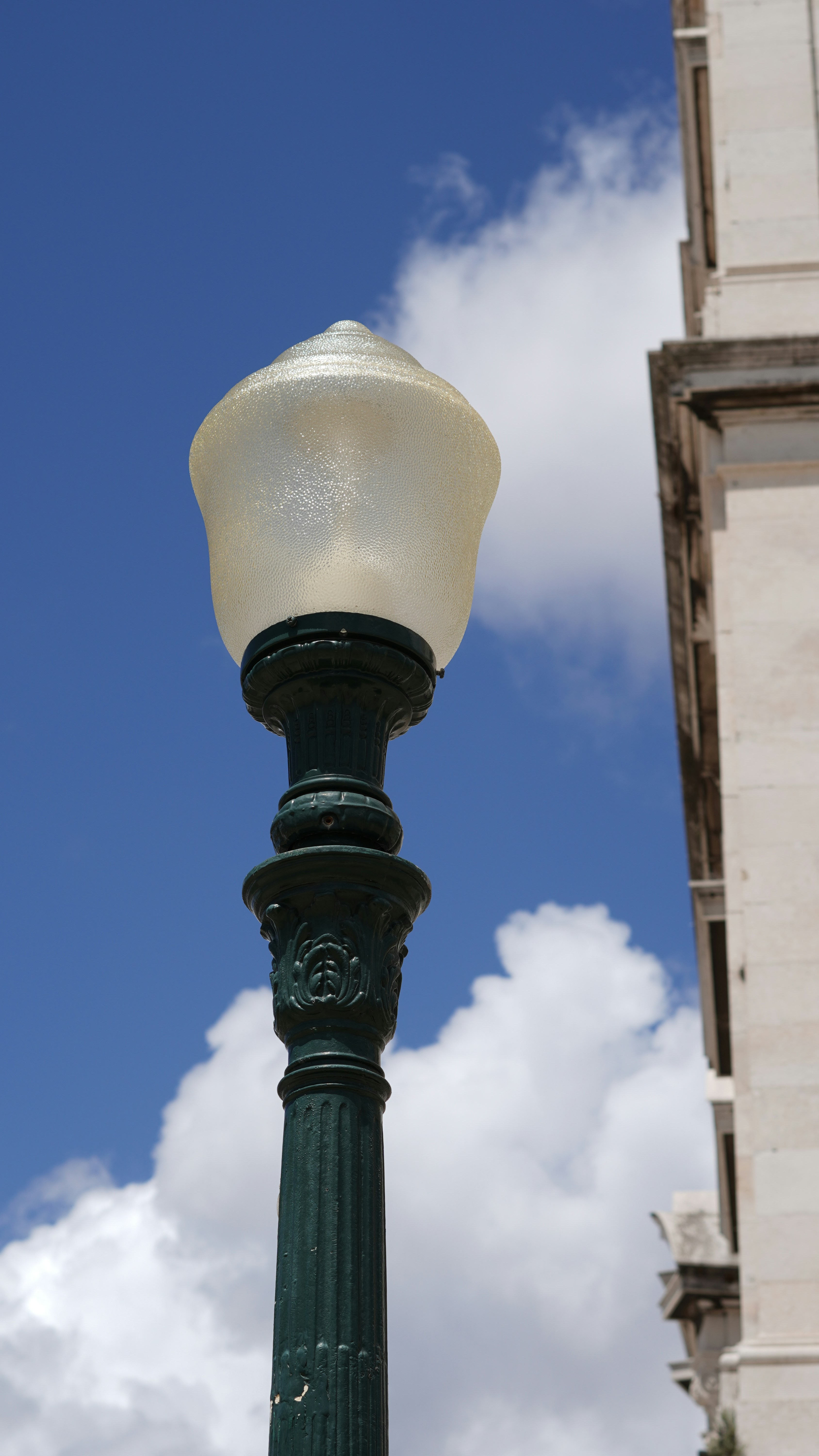 Photo by Pedro Correia with SONY ZV-E10