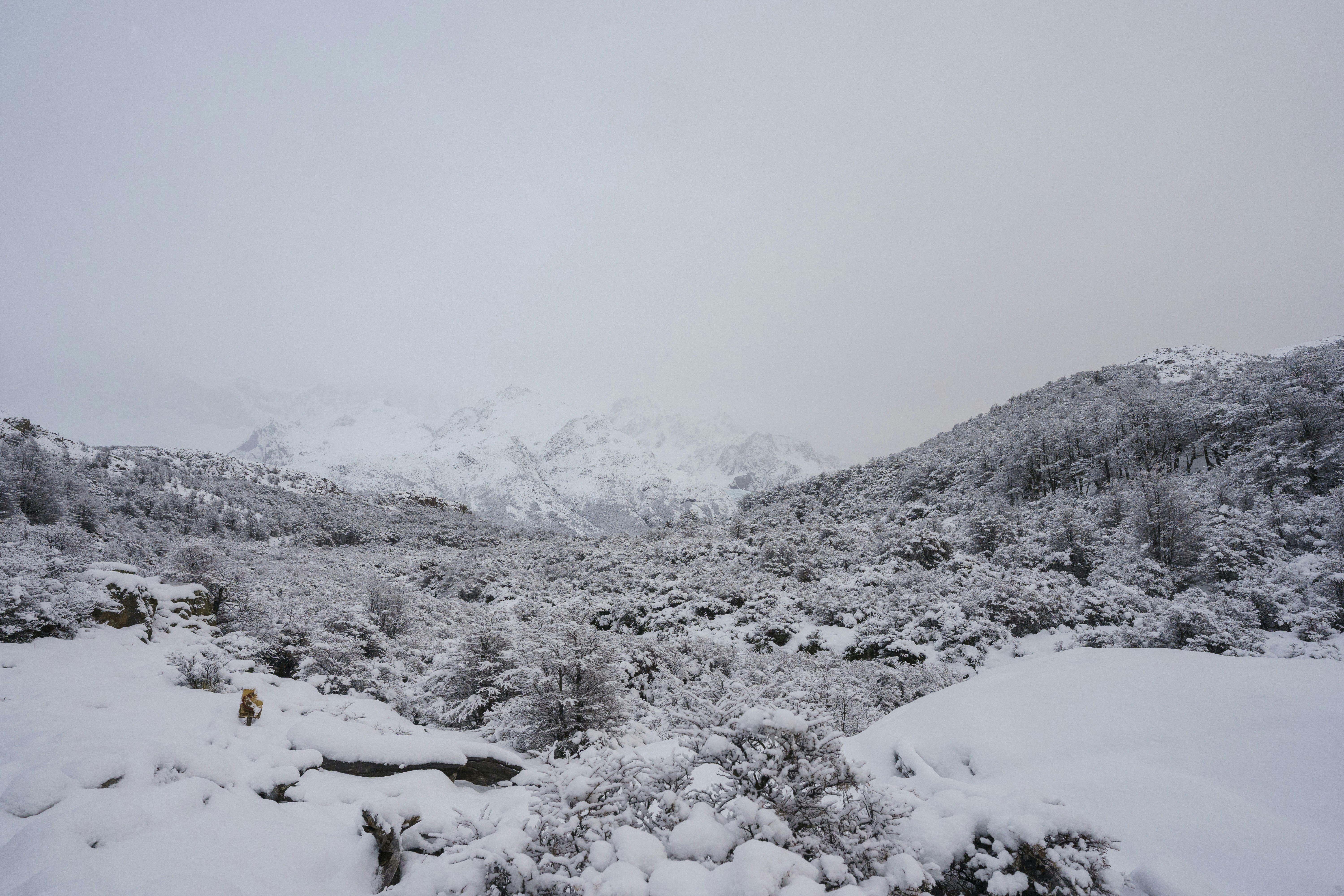 Mist-Lined Peaks Over a Quiet Snowfield