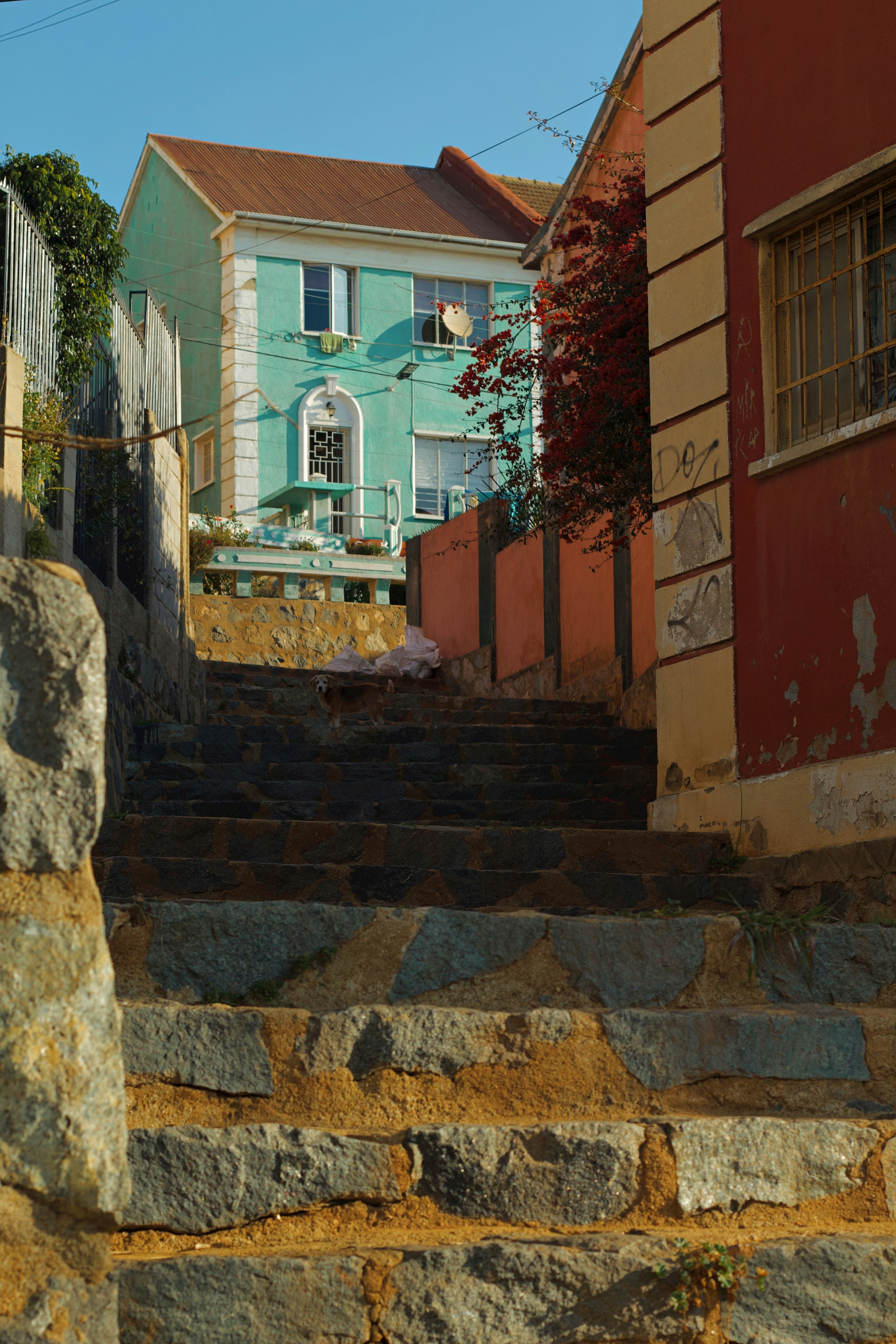 A bunch of stone steps going up a hill photo – Free Valparaiso Image on ...