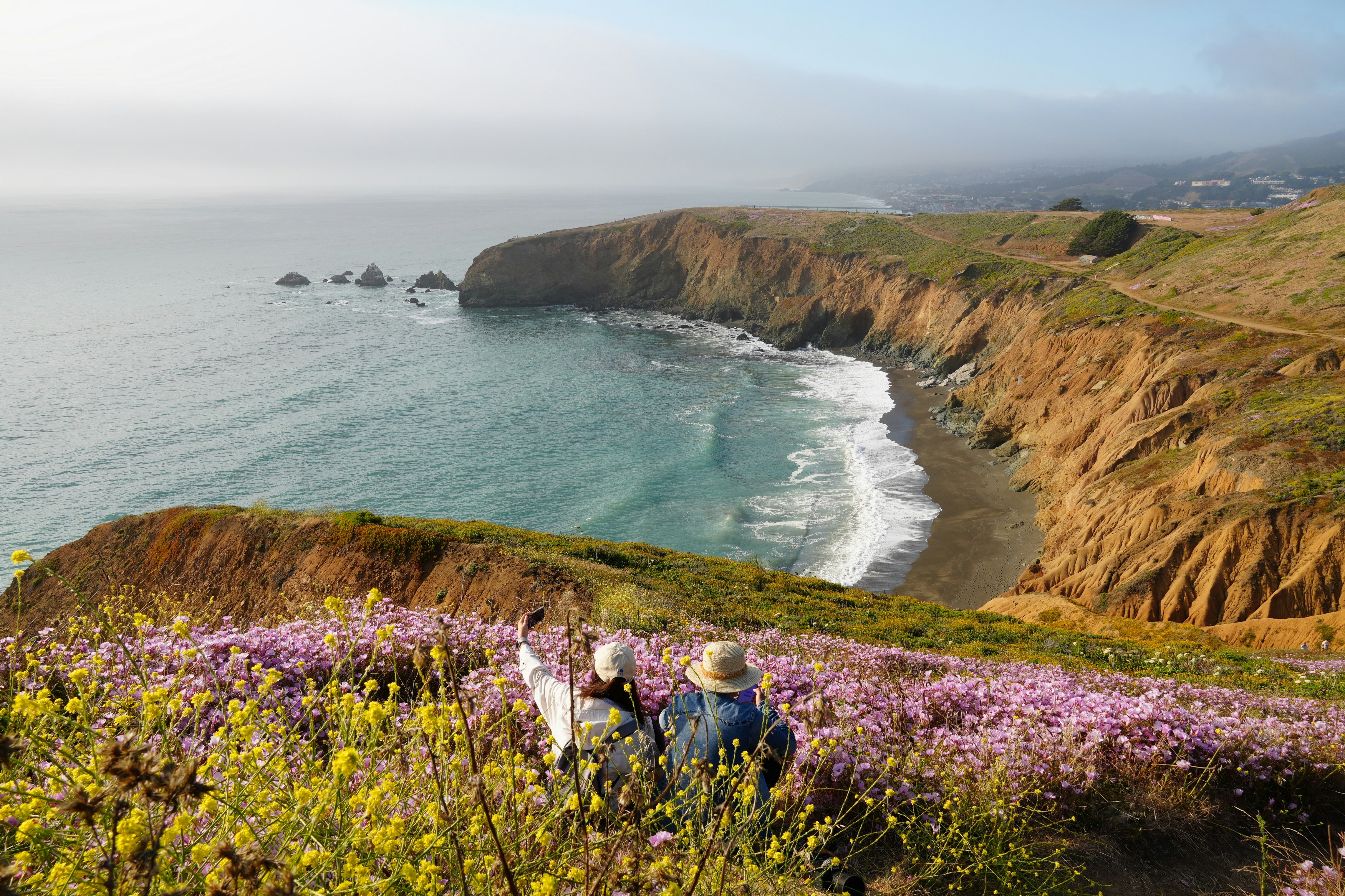 Nature's Canvas: Coastal Serenity Amidst Floral Splendor