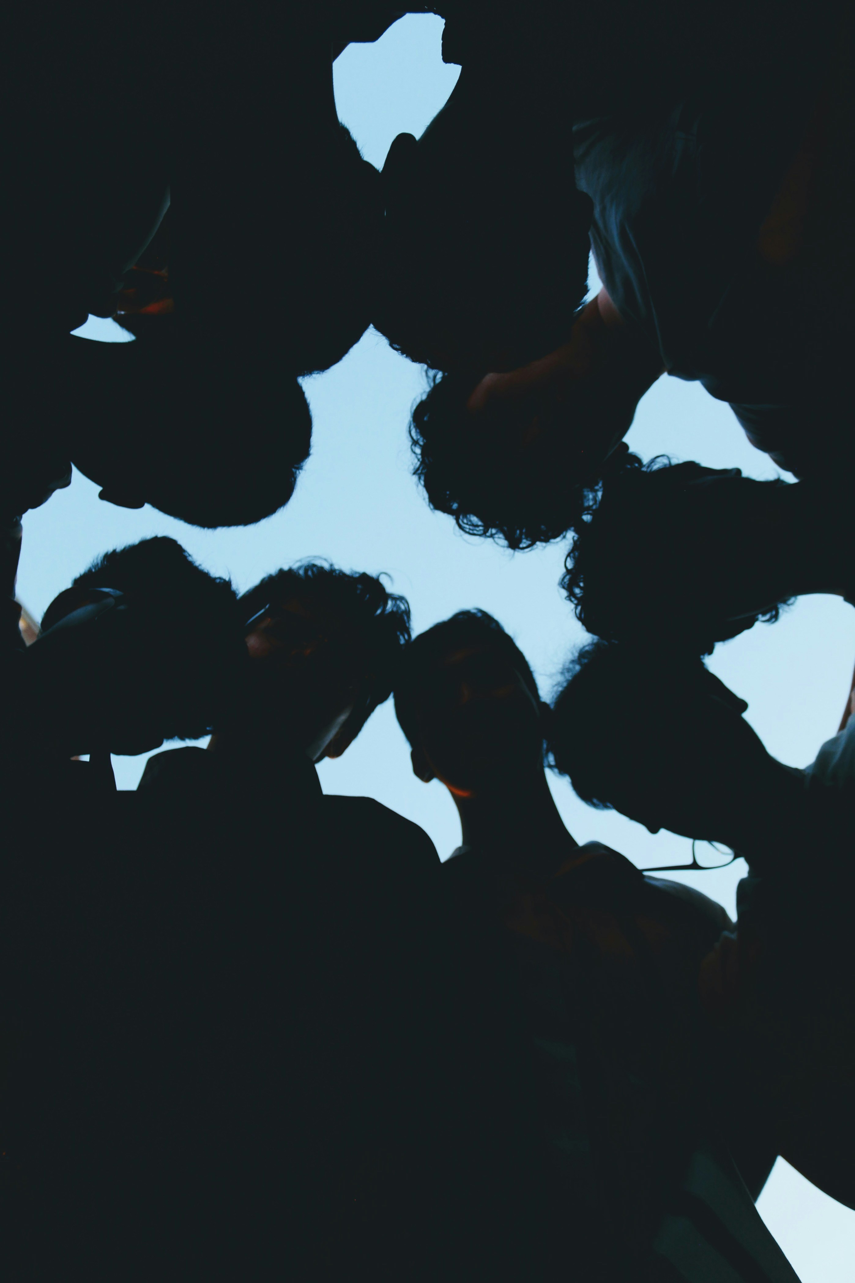 Silhouettes of people looking up at the sky photo – Free Team Image on ...