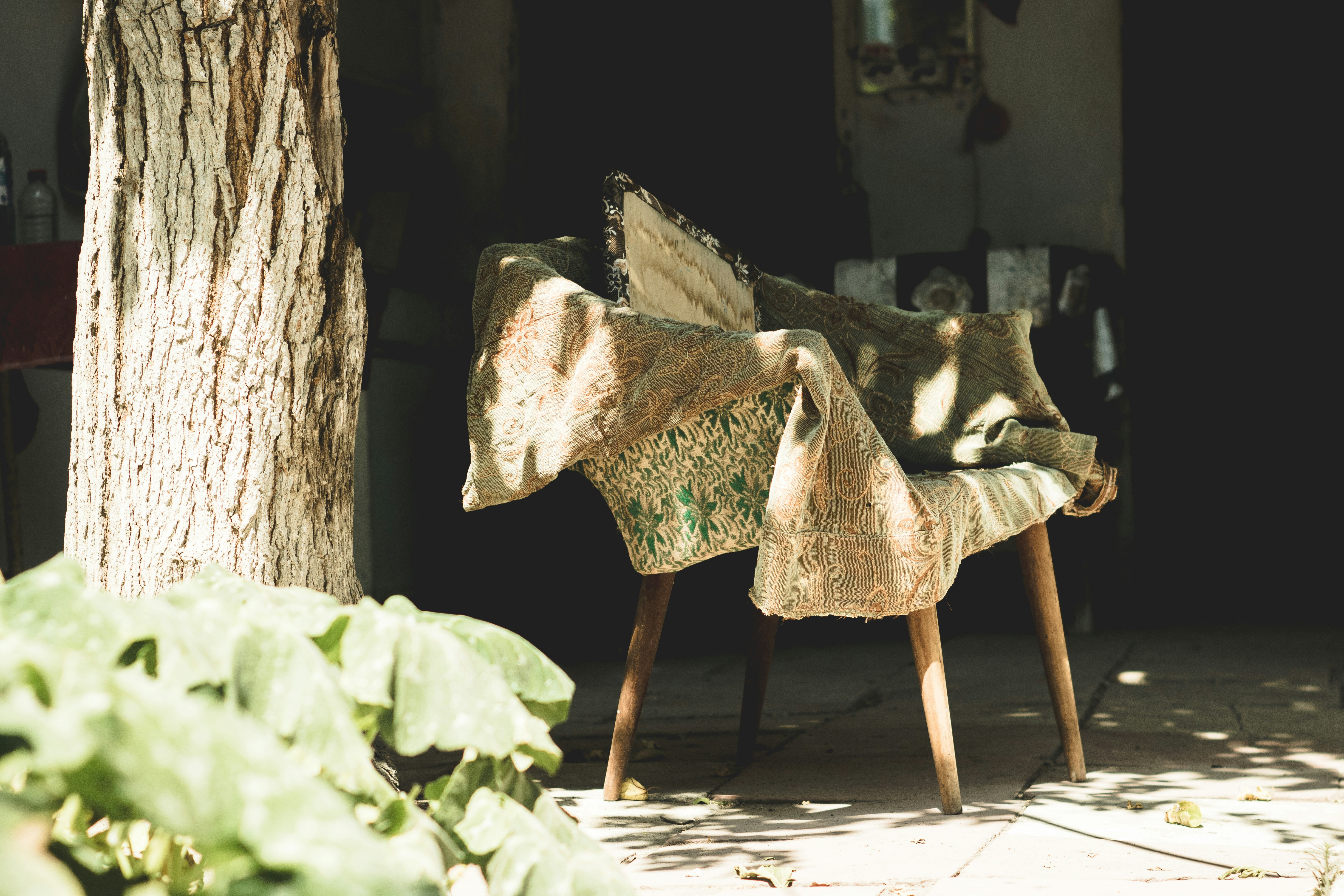 A chair sitting under a tree in the shade photo – Free Background Image ...