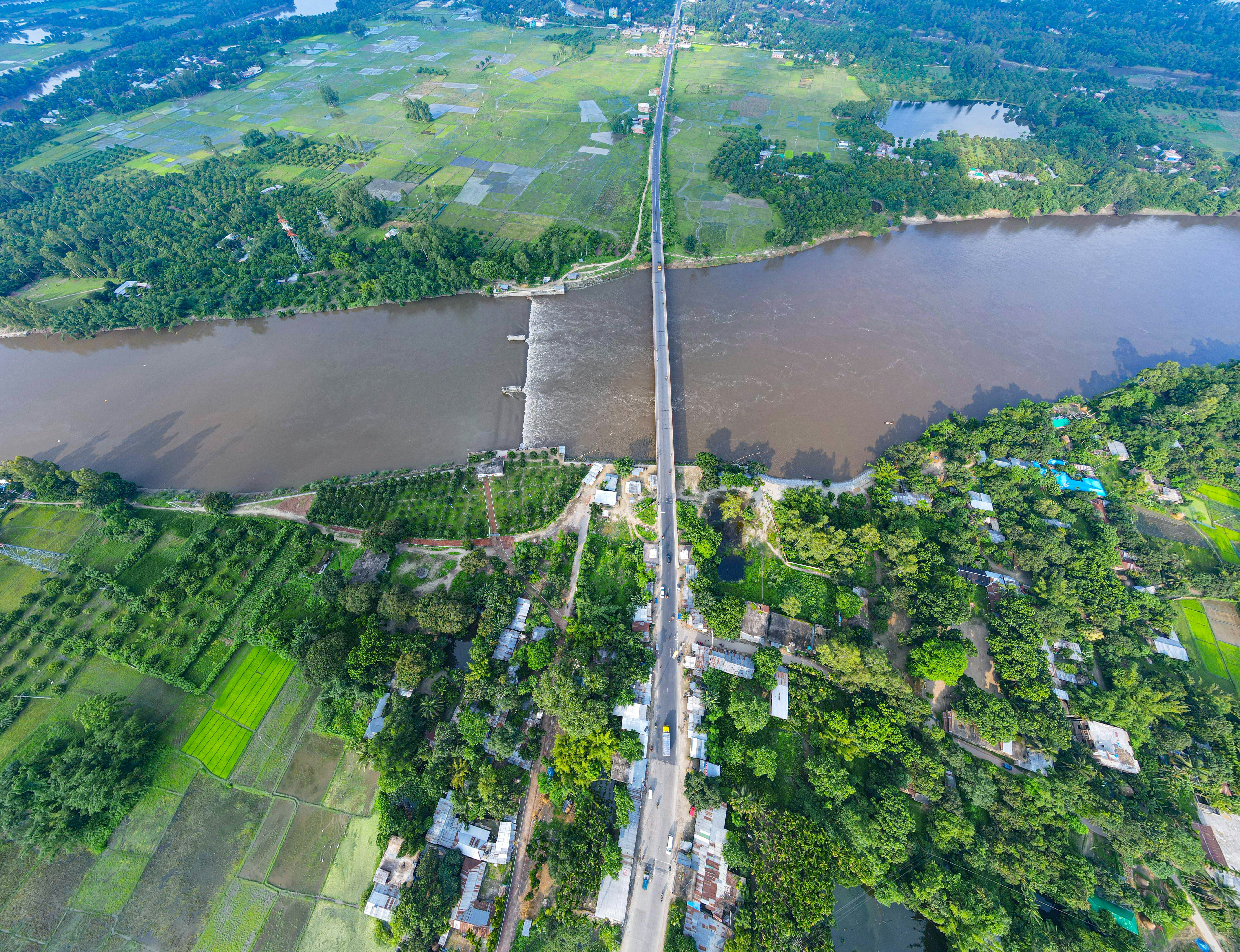 Crossing Over: Mohonpur's Verdant Bridgeway