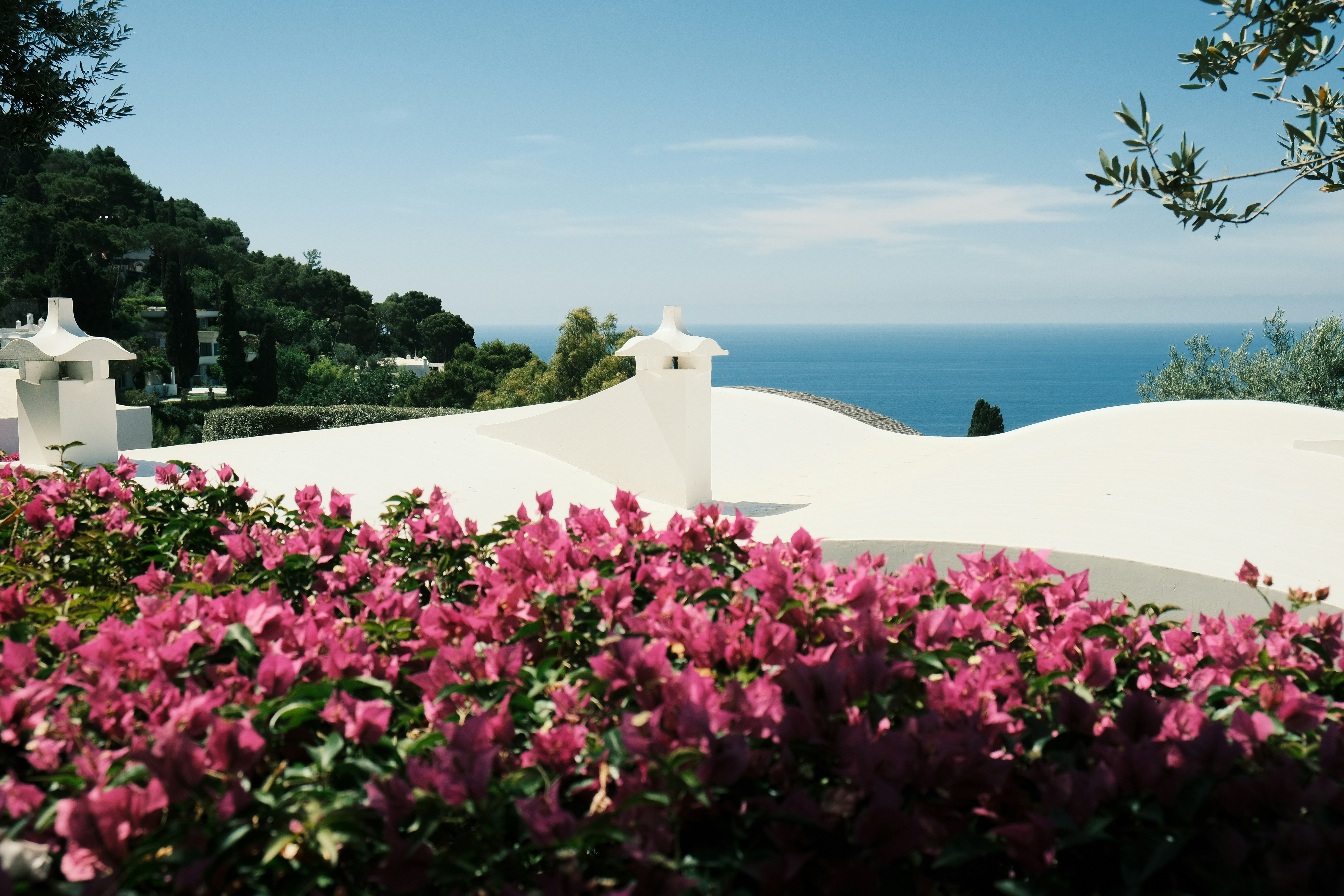 Azure Horizon Framed by White Terraces and Pink Blooms