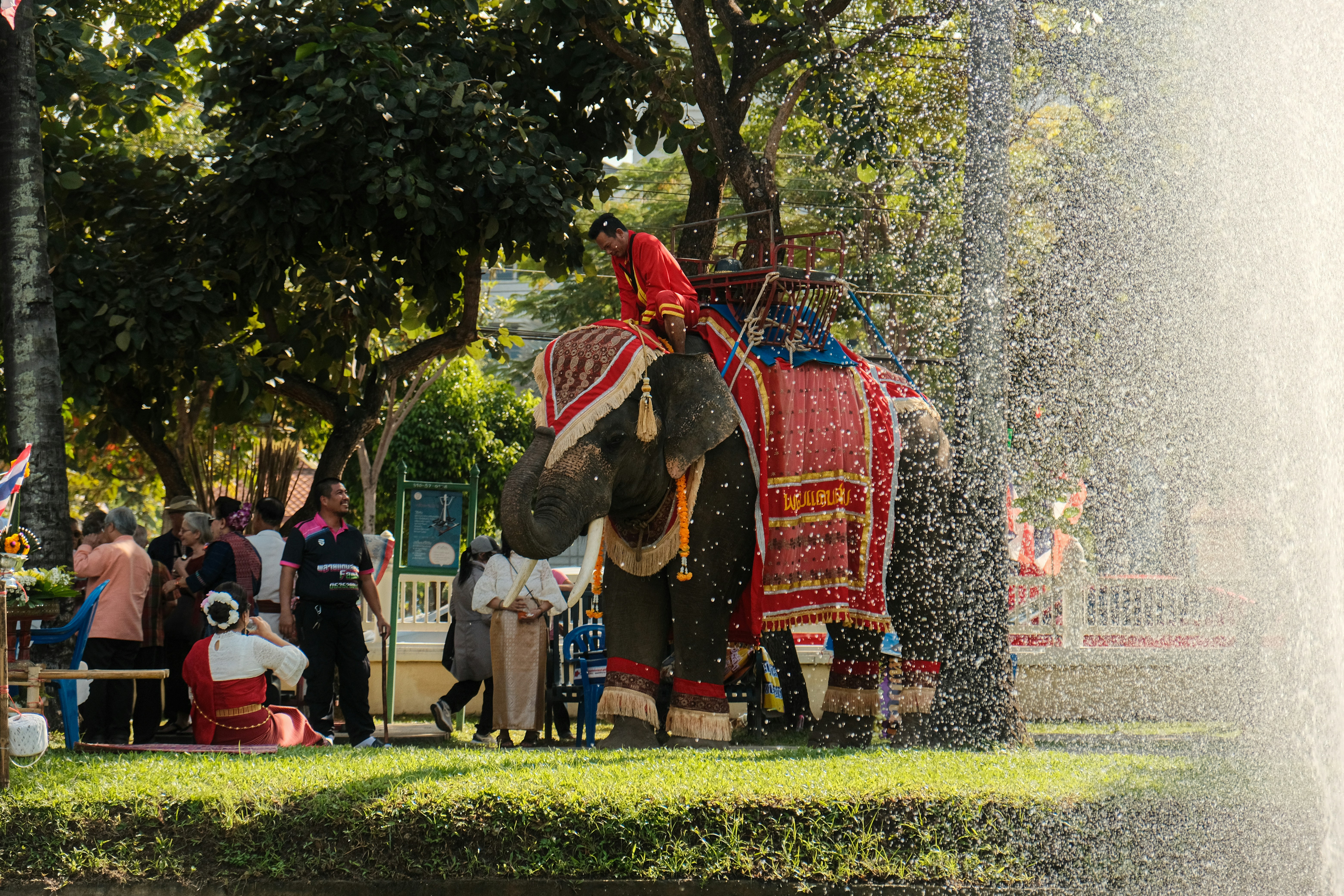 An elephant adorned in vibrant attire spraying water on a crowd in a sunlit park.