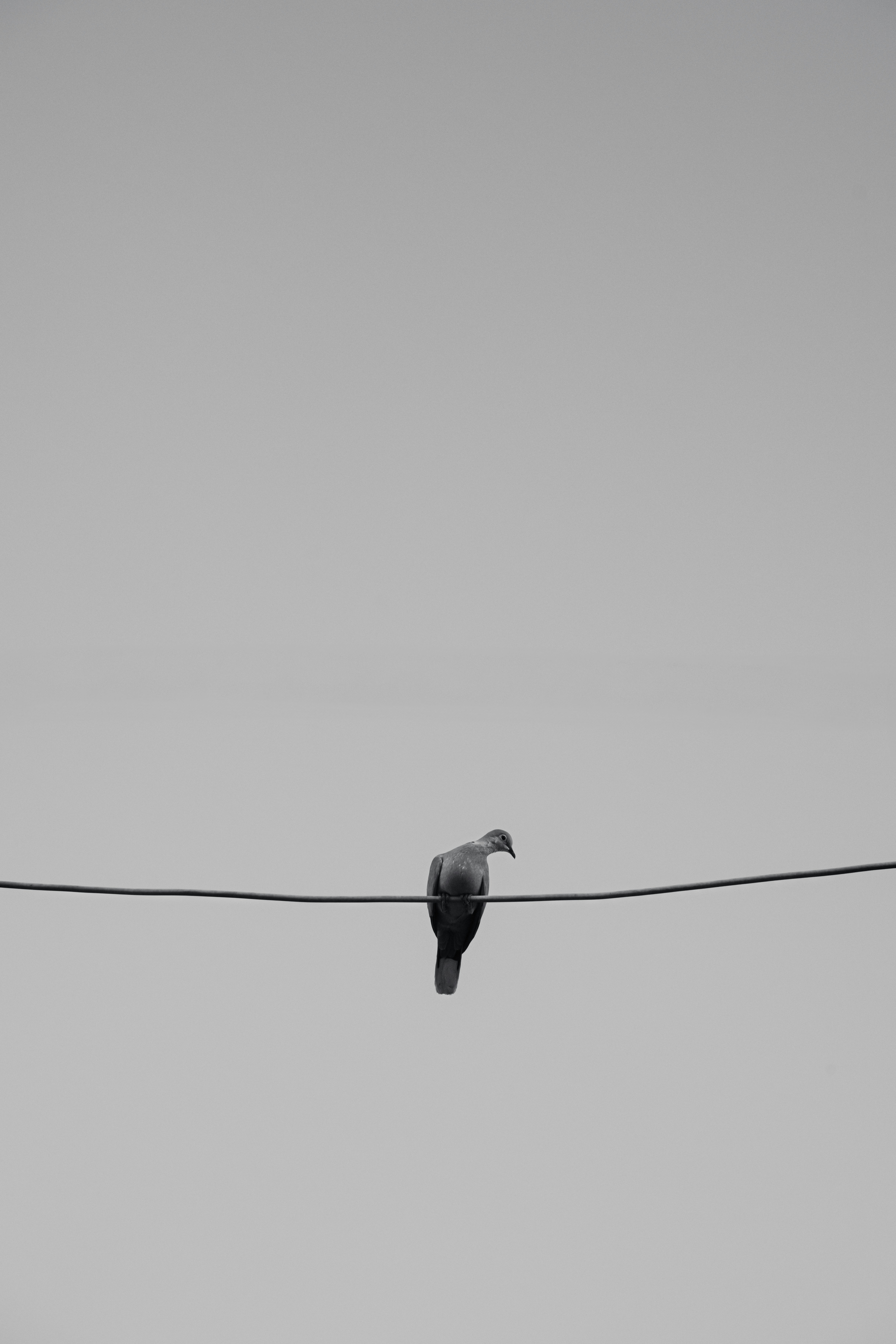 Photo by Bao Menglong with Nikon D850