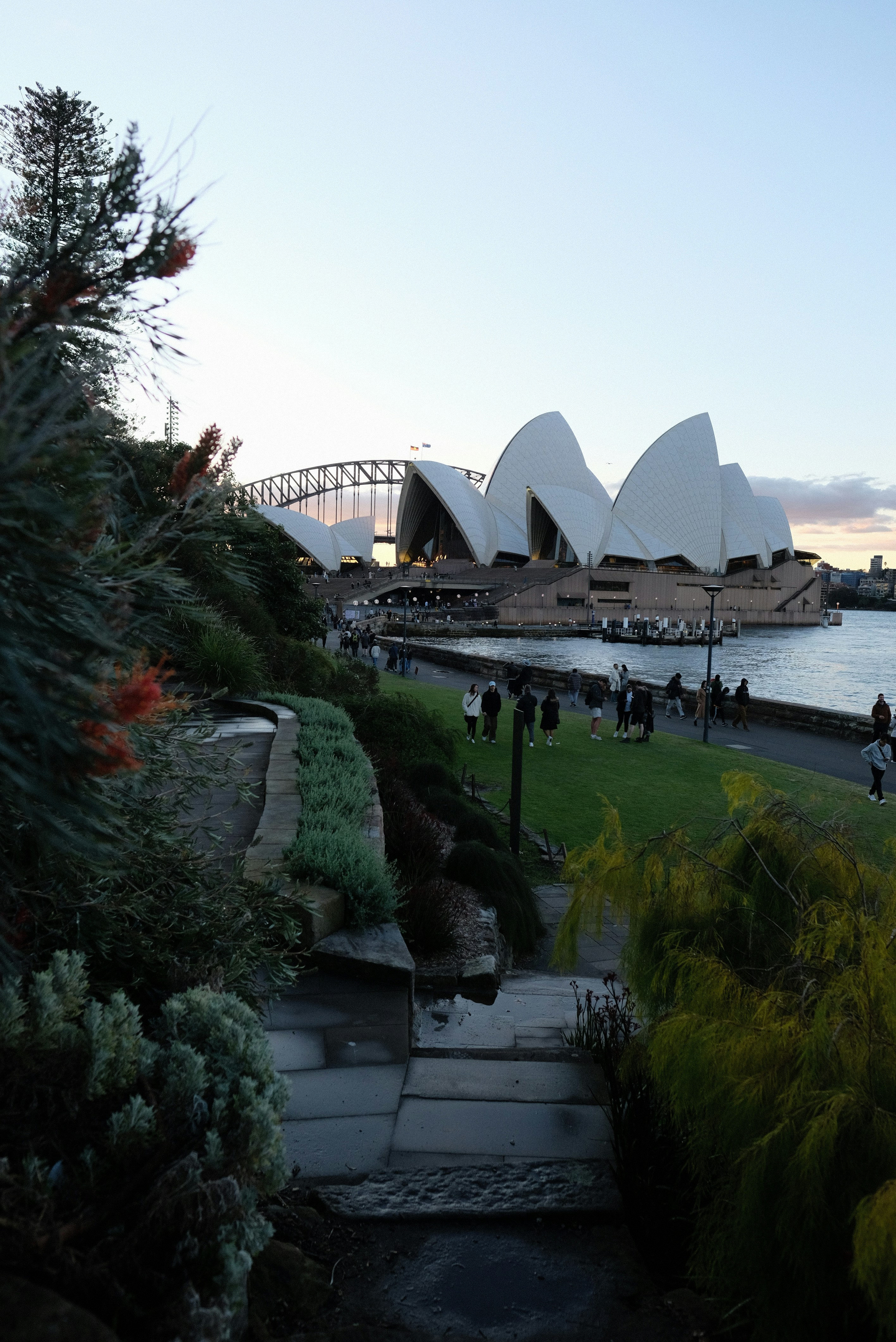 Dusk Over Sydney Harbour: White Sails and a Quiet Waterfront Walk