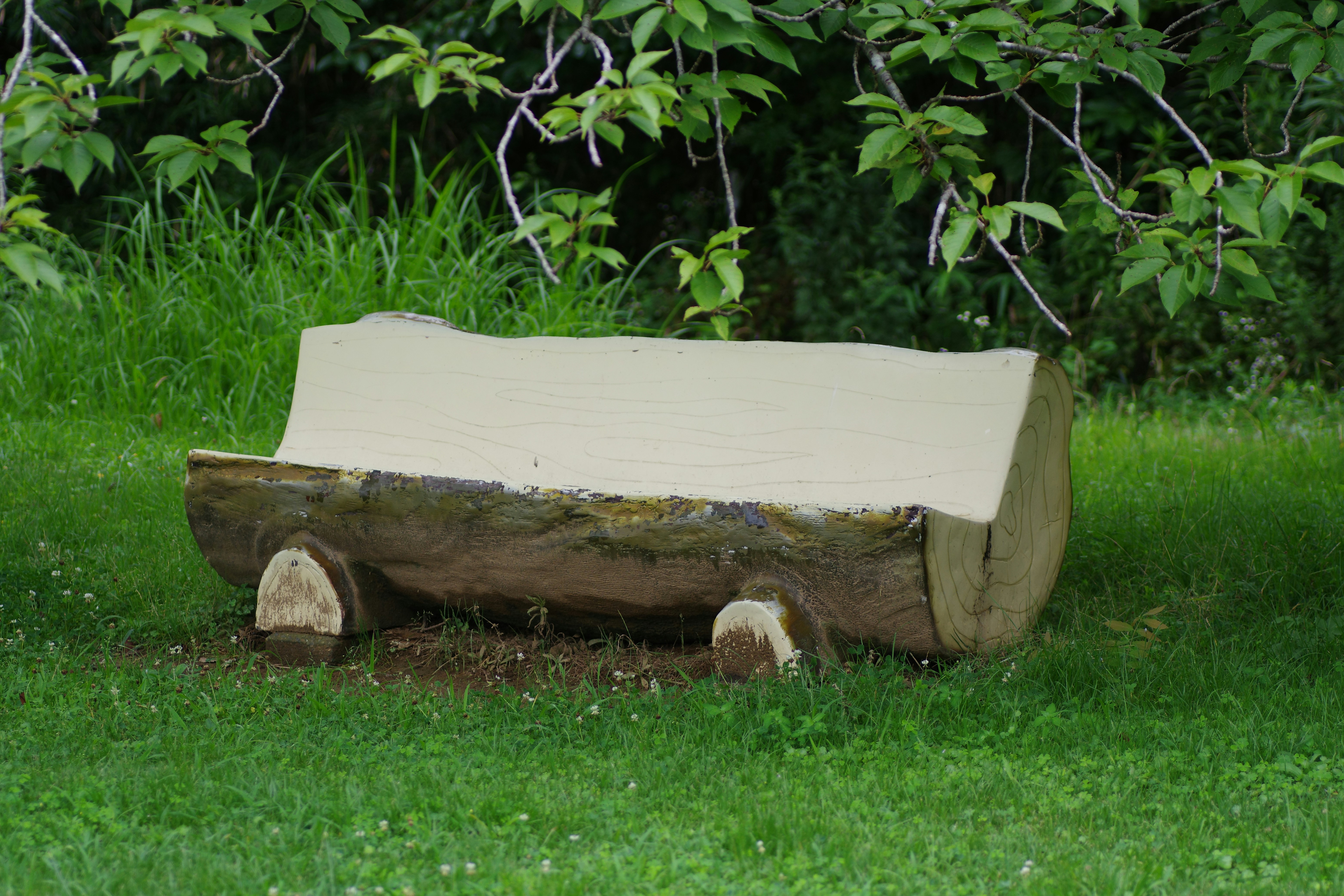 Verdant Pause: A Pale Log Bench Resting in a Quiet Clearing