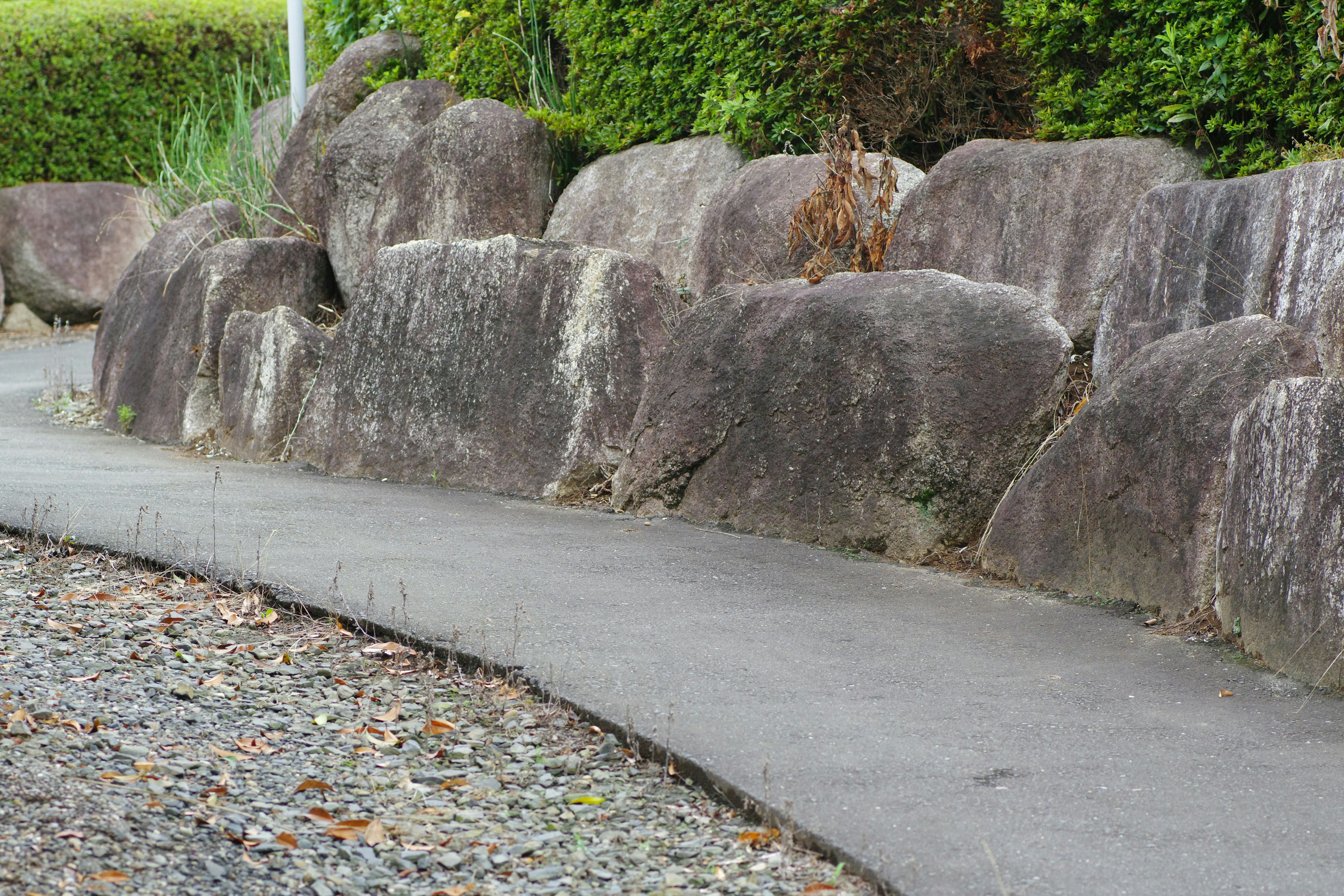 Japanese countryside scenery