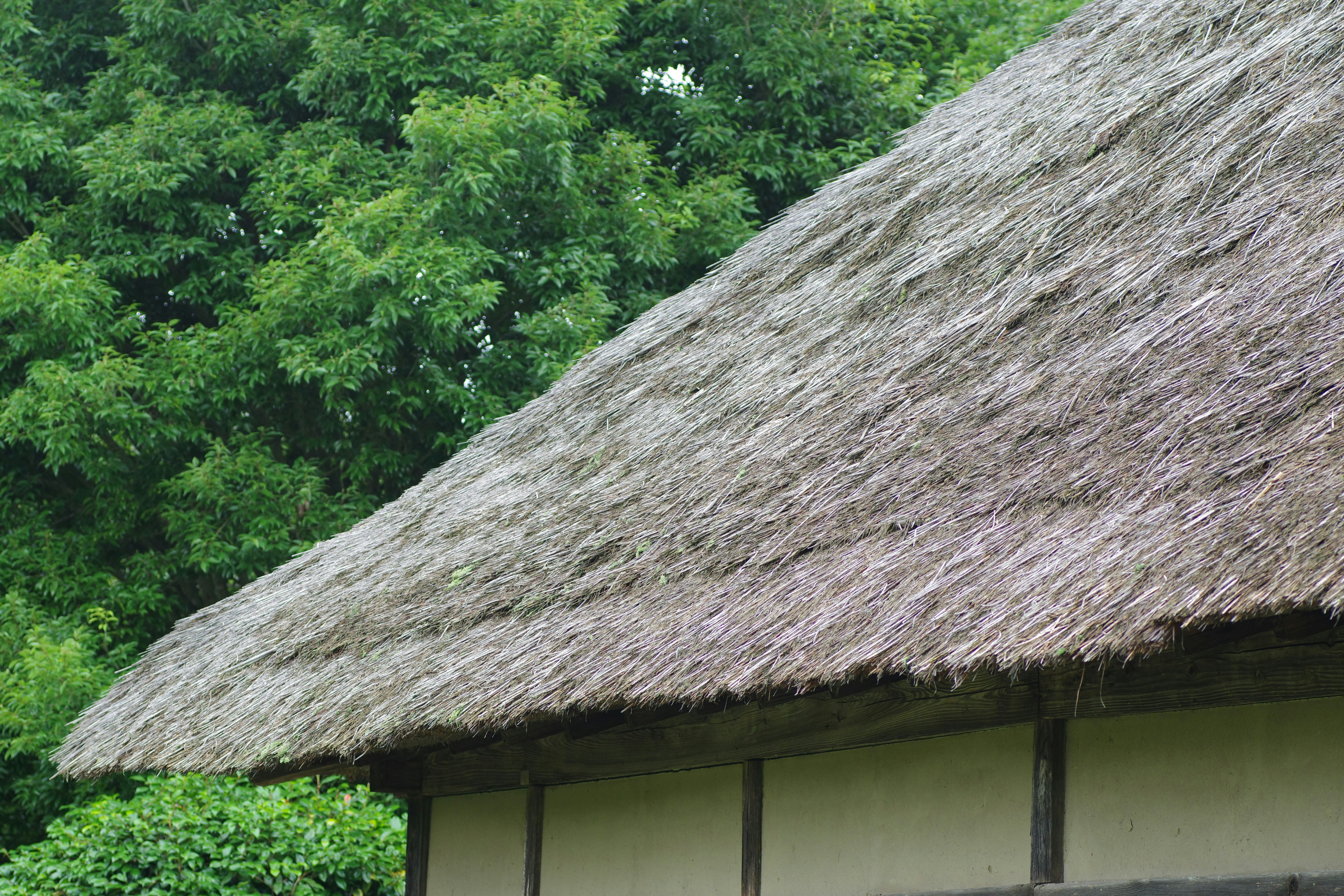 A building with a thatched roof in front of trees photo – Free 食物 Image ...