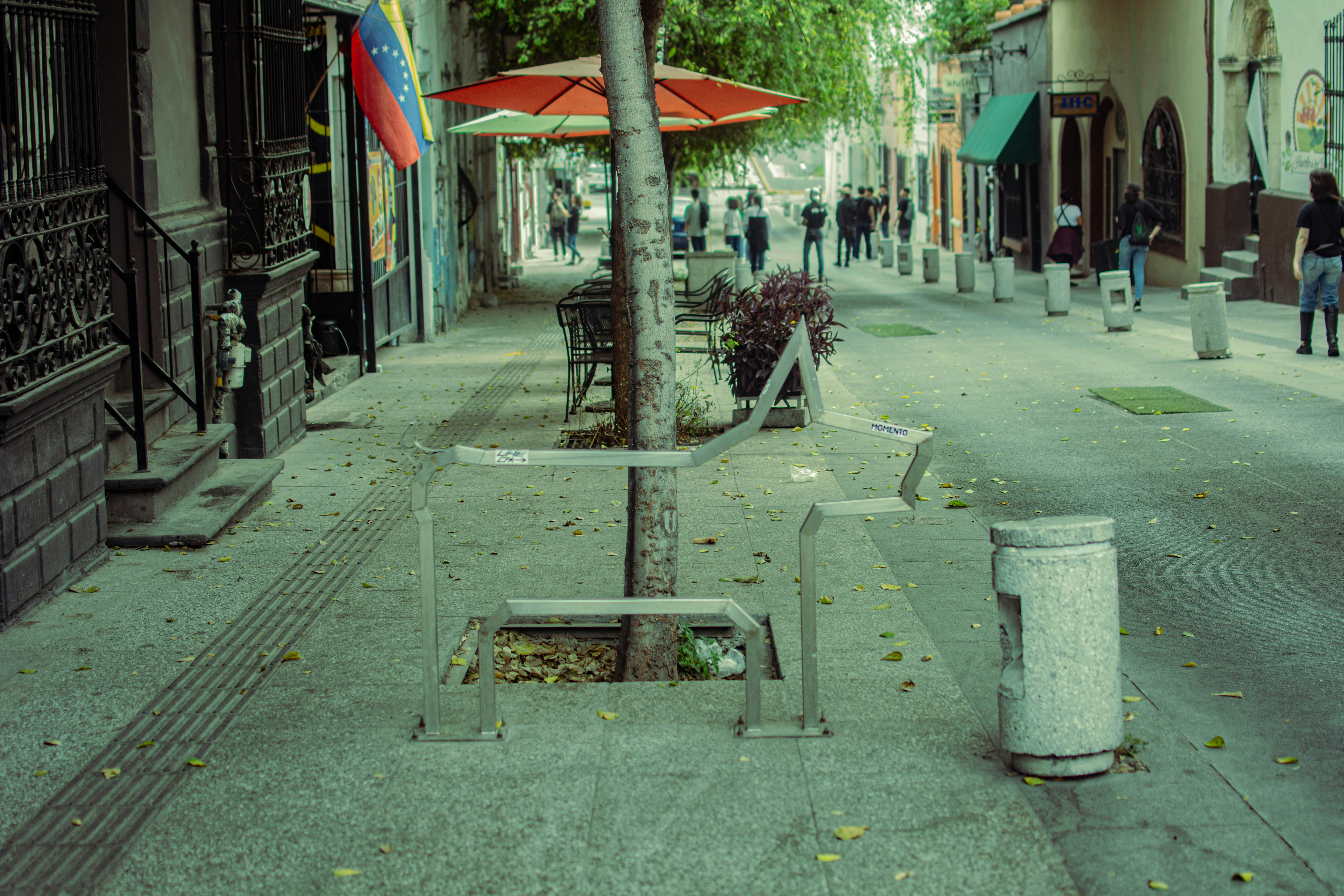 Centerline of Quiet: A Tree, an Orange Umbrella, and Distant Pedestrians