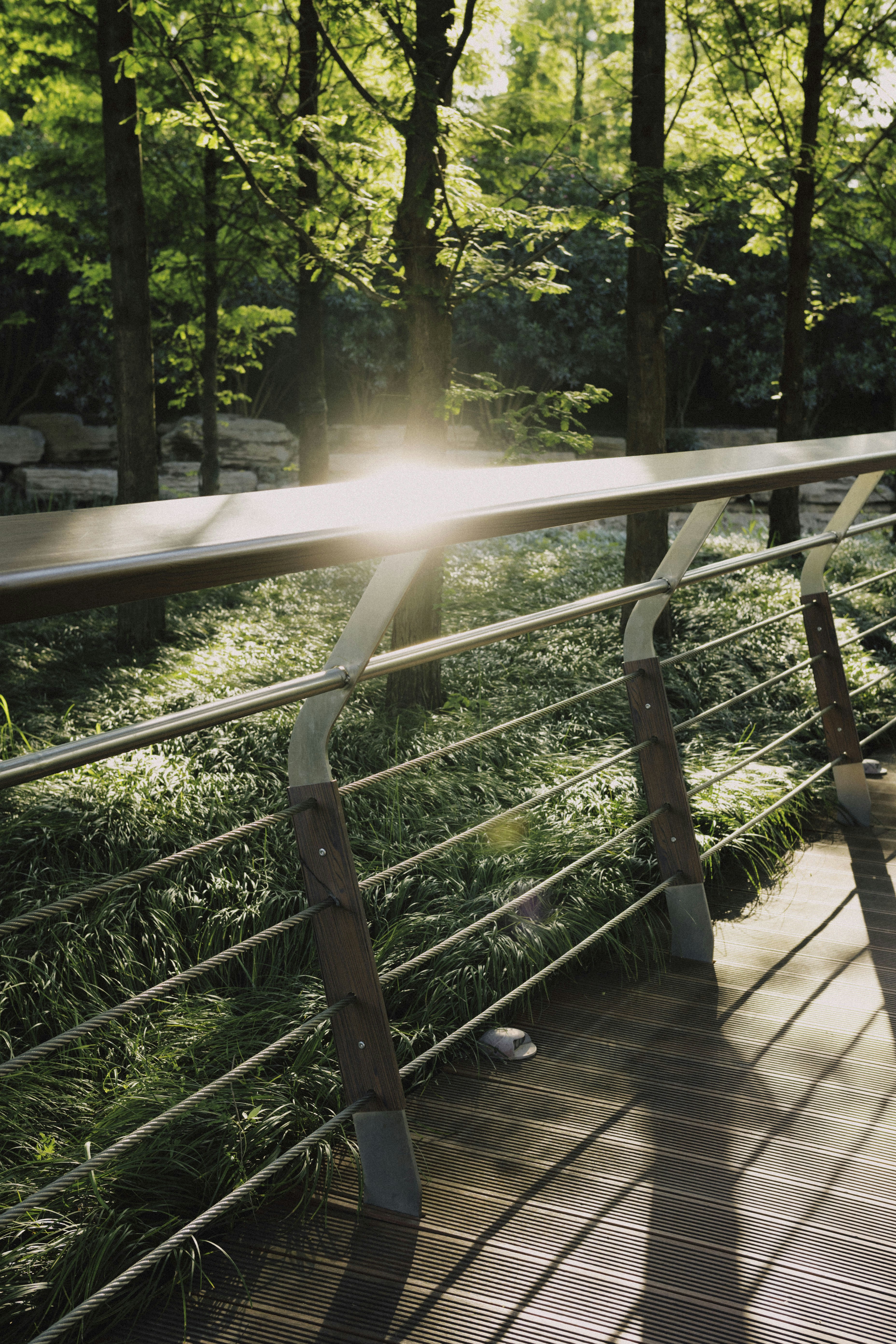 Photo by yiyu chen with Nikon Zfc