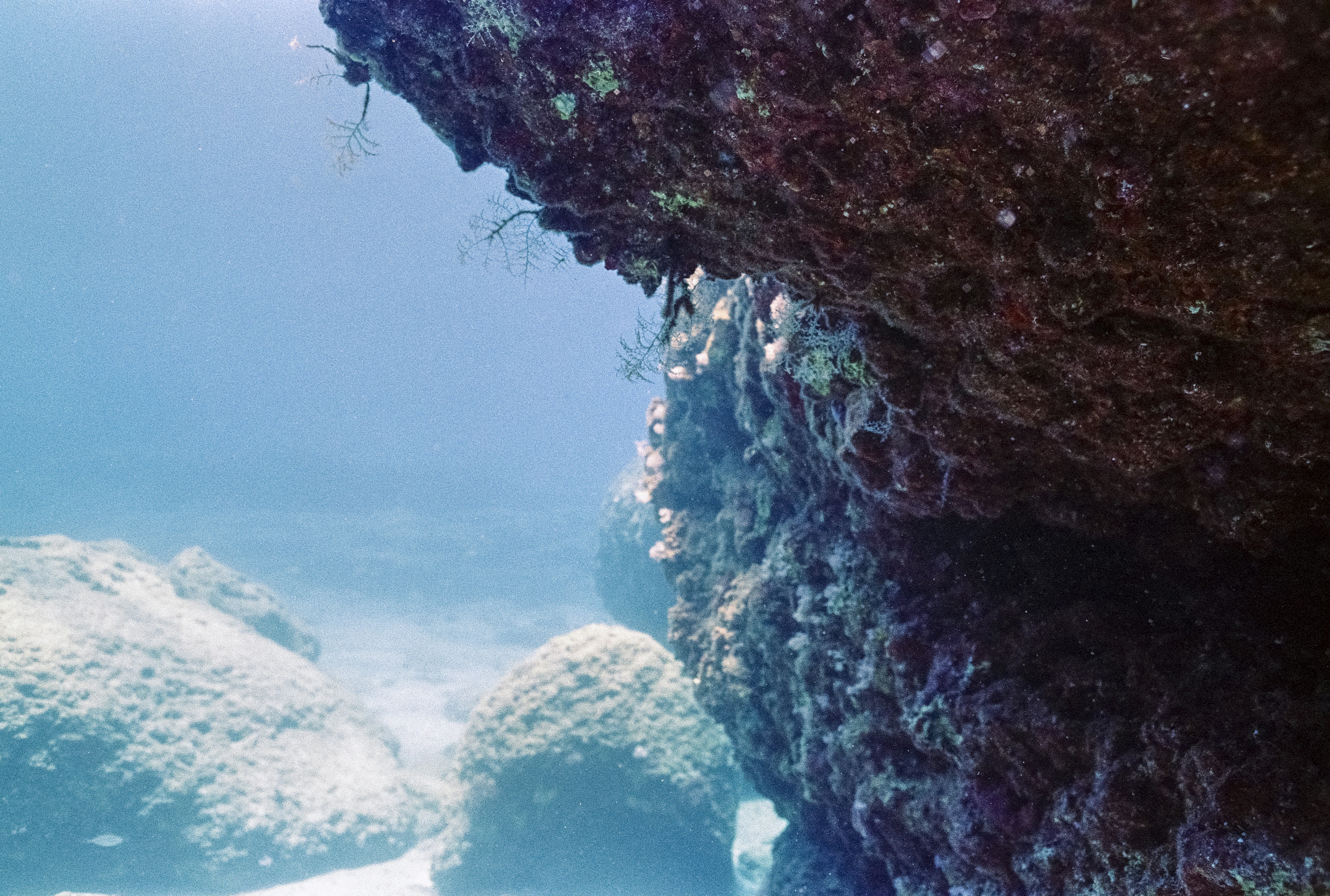 An underwater view of rocks and seaweed on the ocean floor photo – Free ...