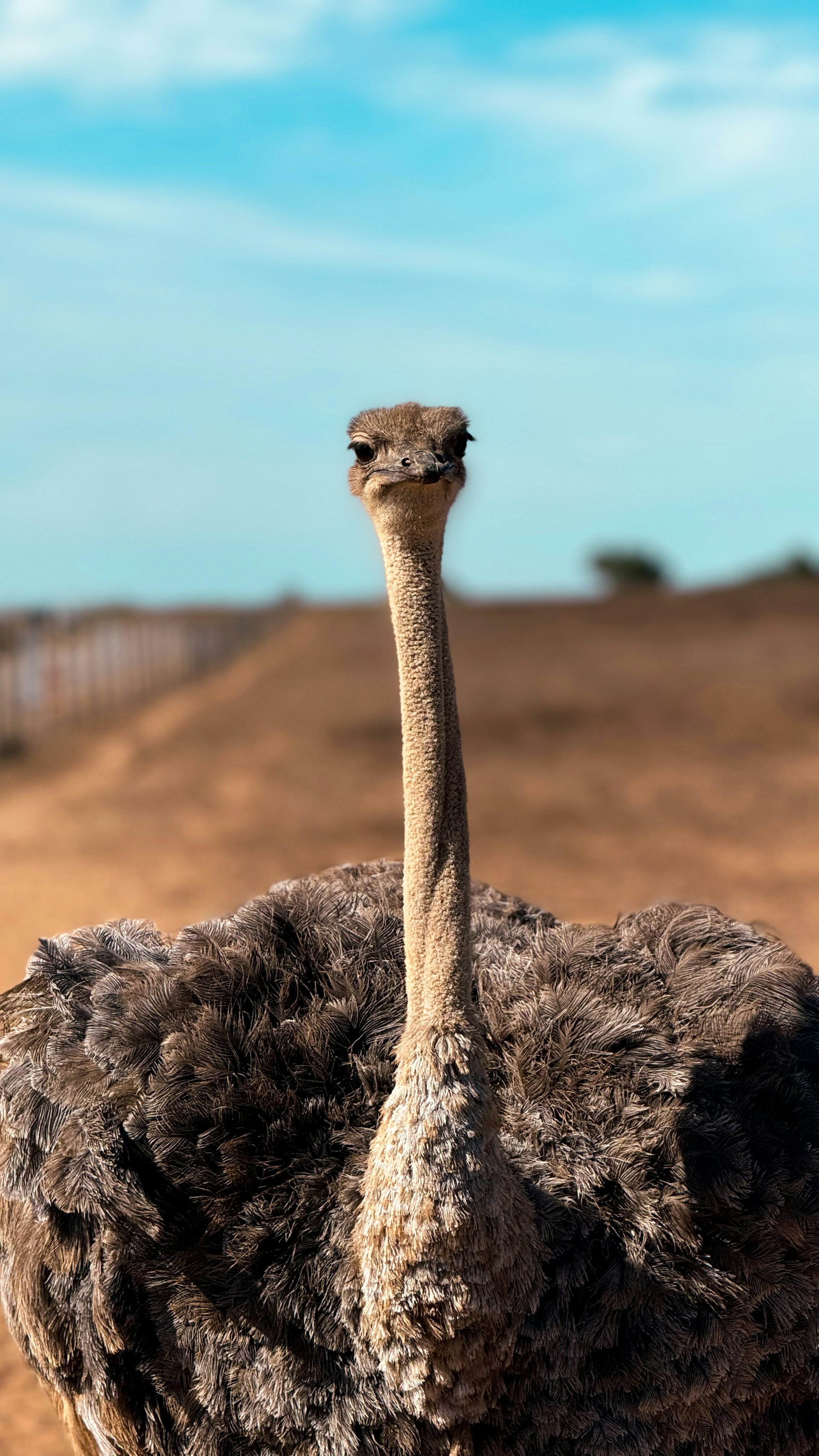 Photo by RODOLFO BARRETTO with Apple iPhone 15 Pro Max