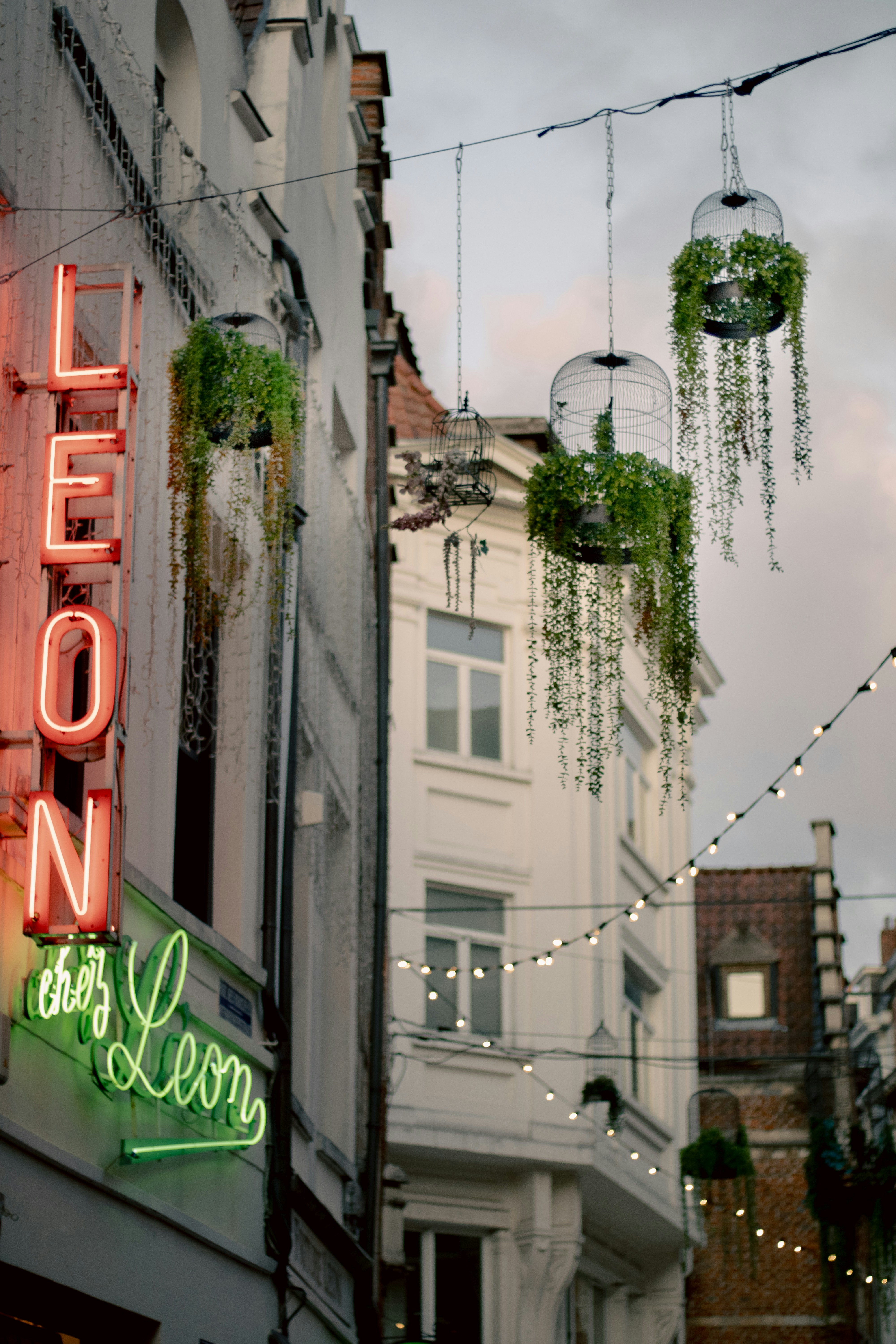 Neon Ivy Lane: A Lanterned Street Framed by Hanging Greens