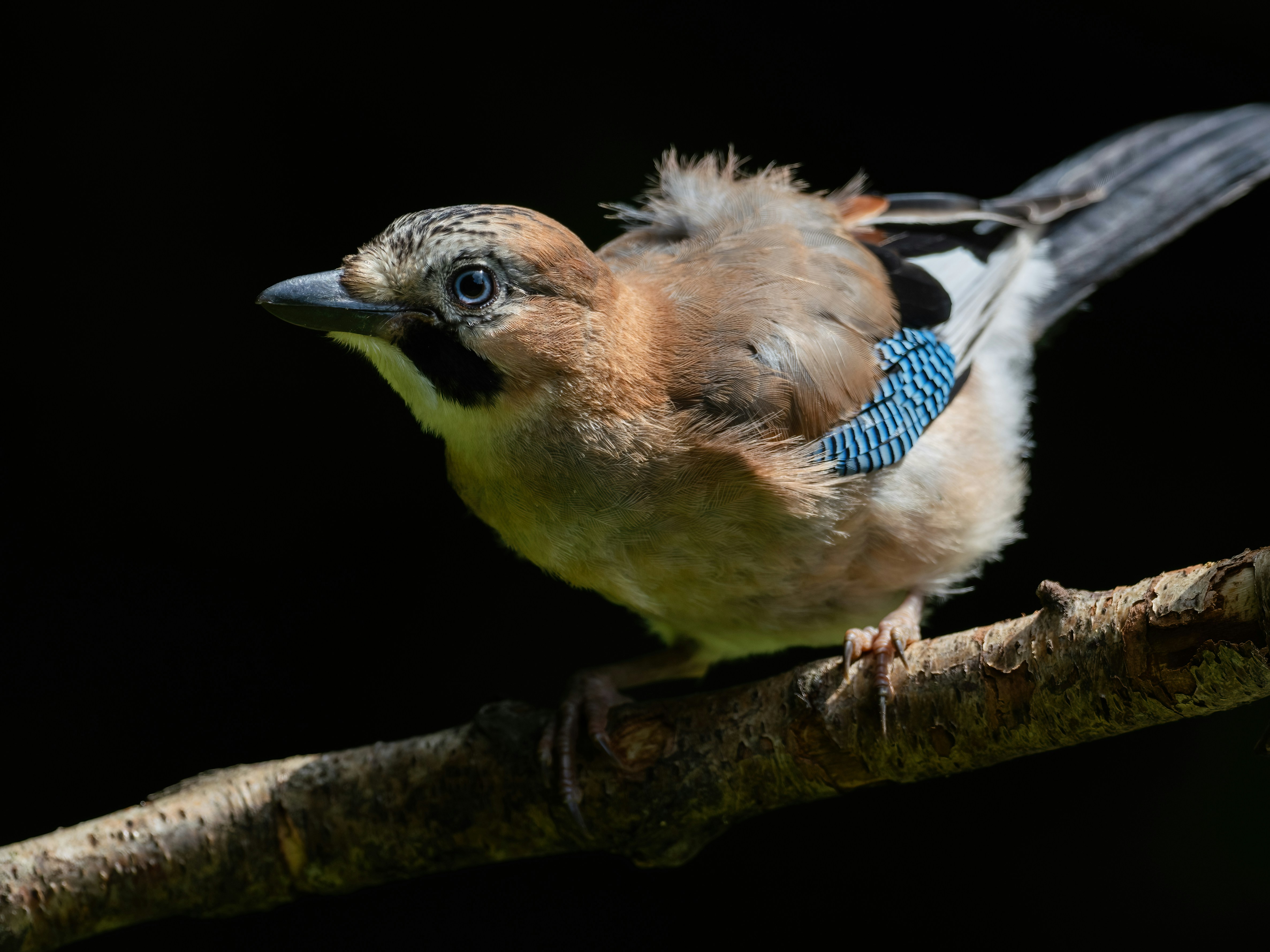 Photo by Doncoombez with OM System OM-1