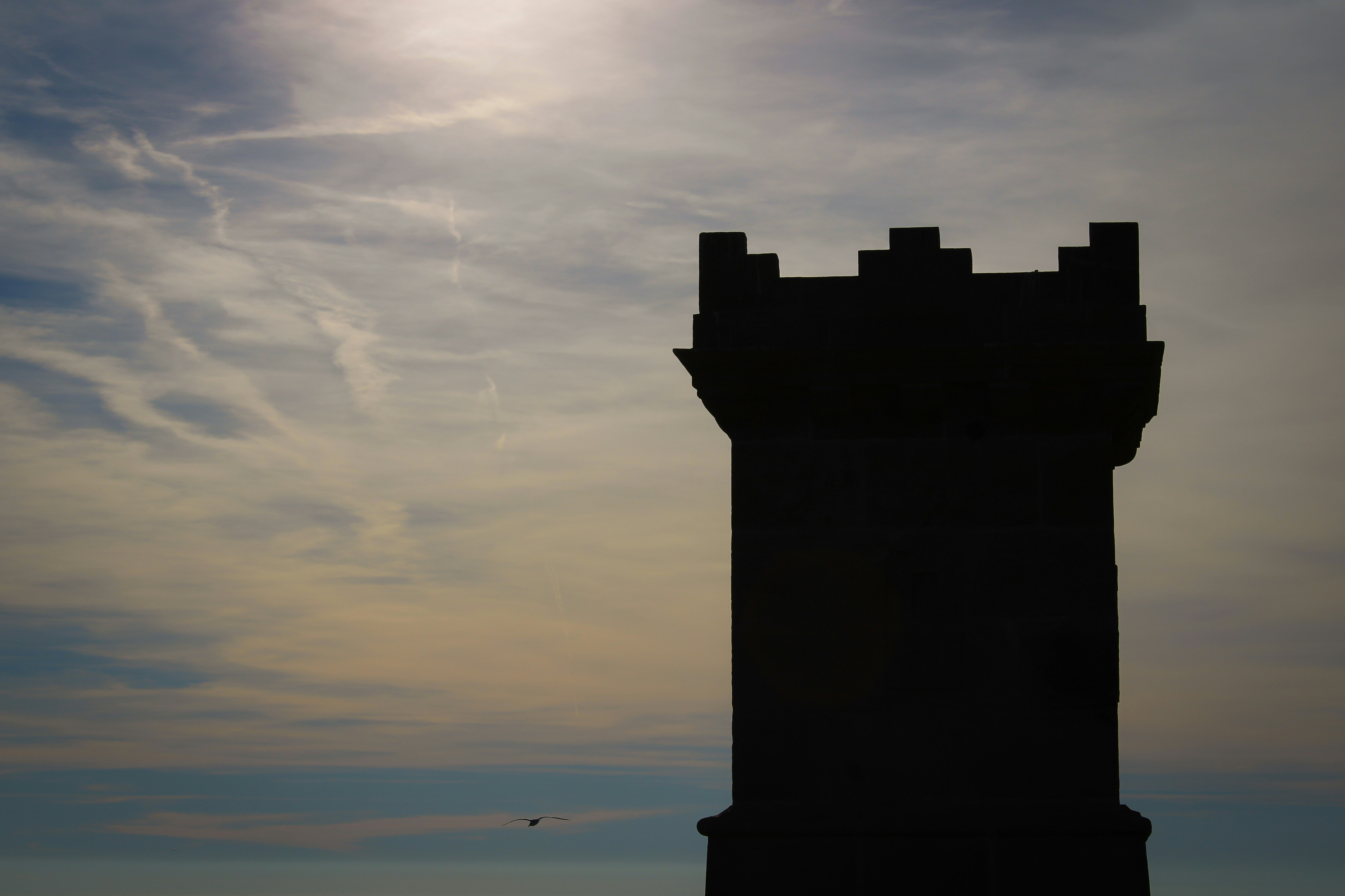 Twilight Sentinel Over a Quiet Horizon