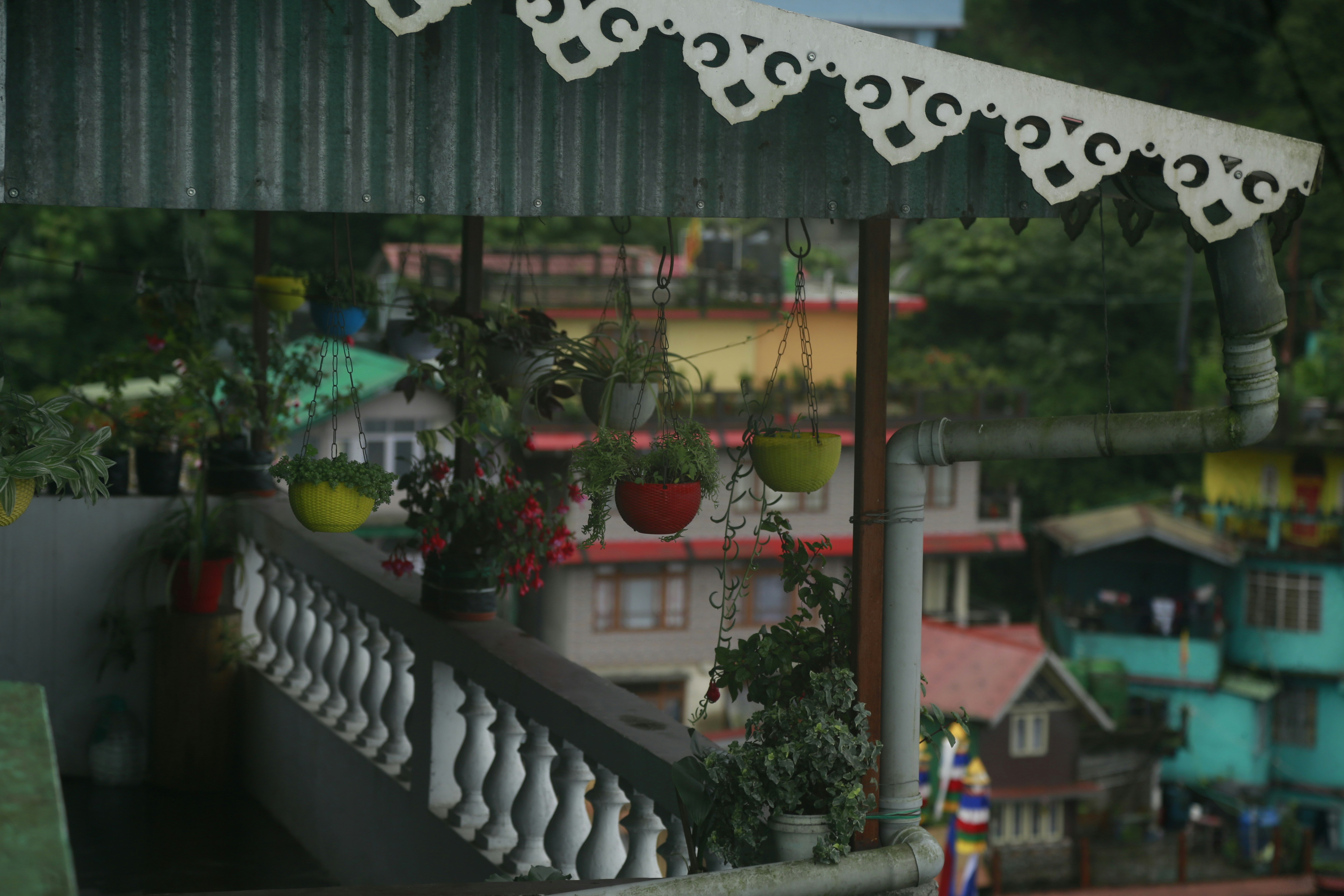 A man riding a skateboard down a ramp photo – Free Flower bouquet Image ...