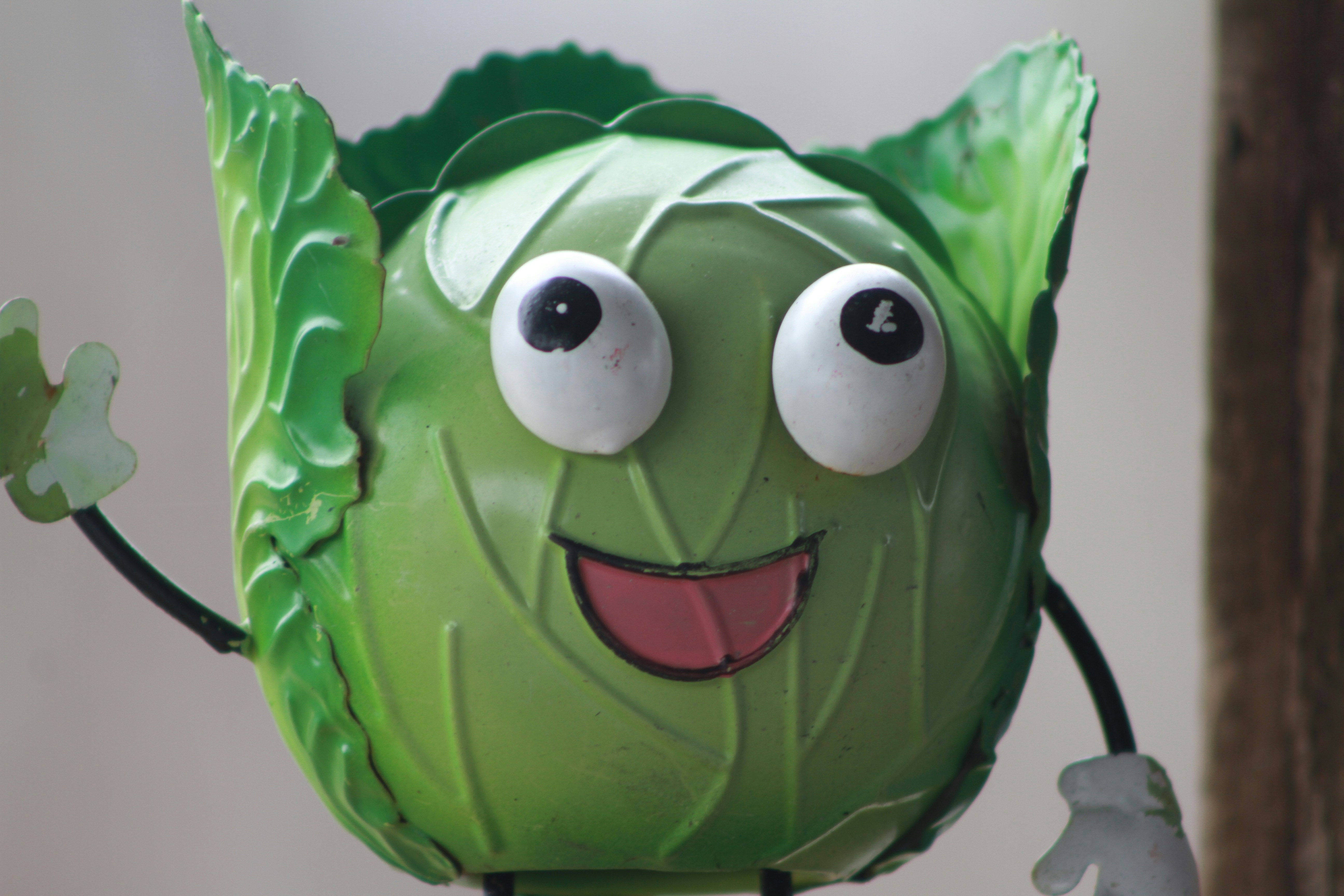 The Jovial Lettuce: A Cartoon Mascot with Big Eyes and a Bright Smile