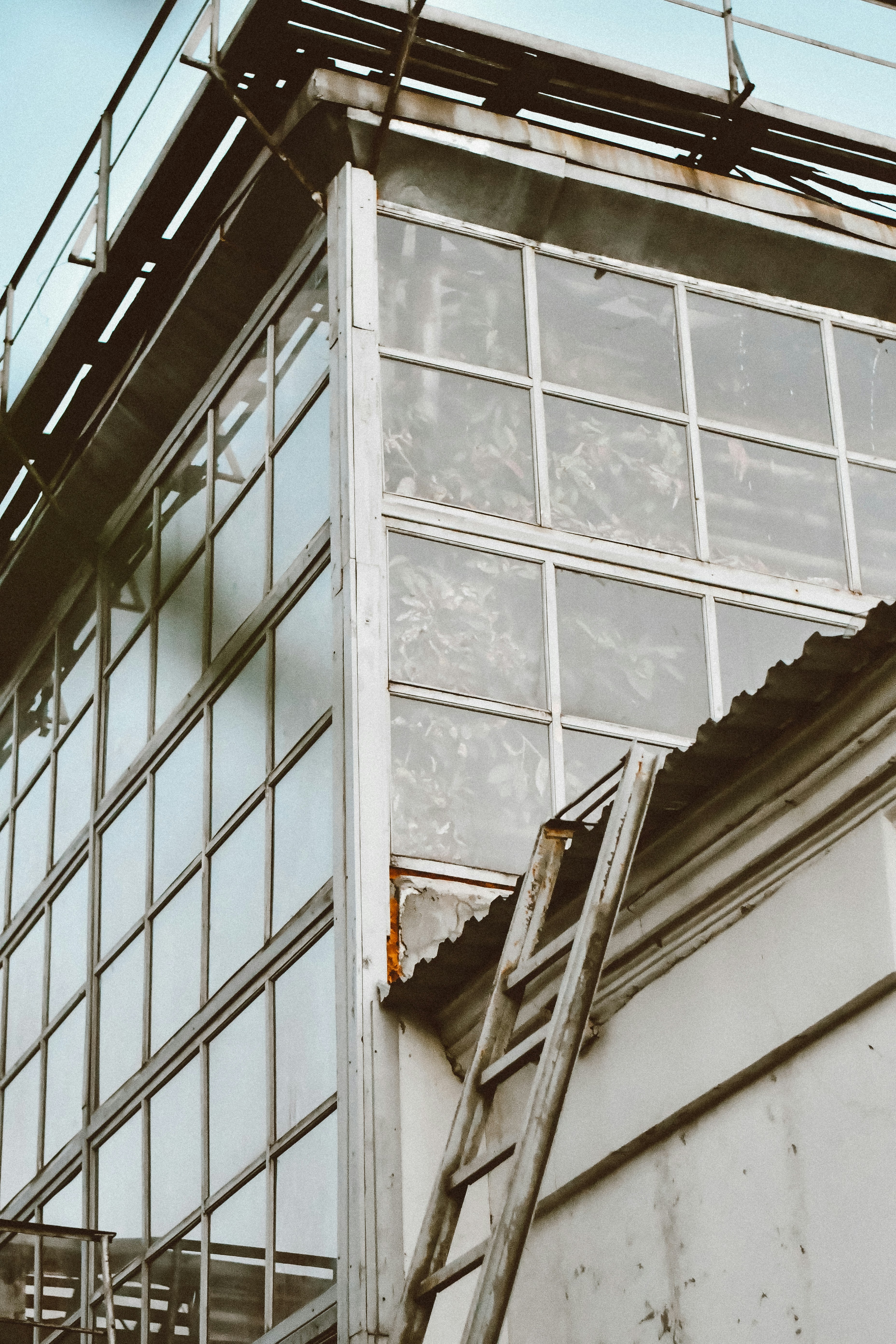 Photo by Dina Makhmutova with Nikon D7500