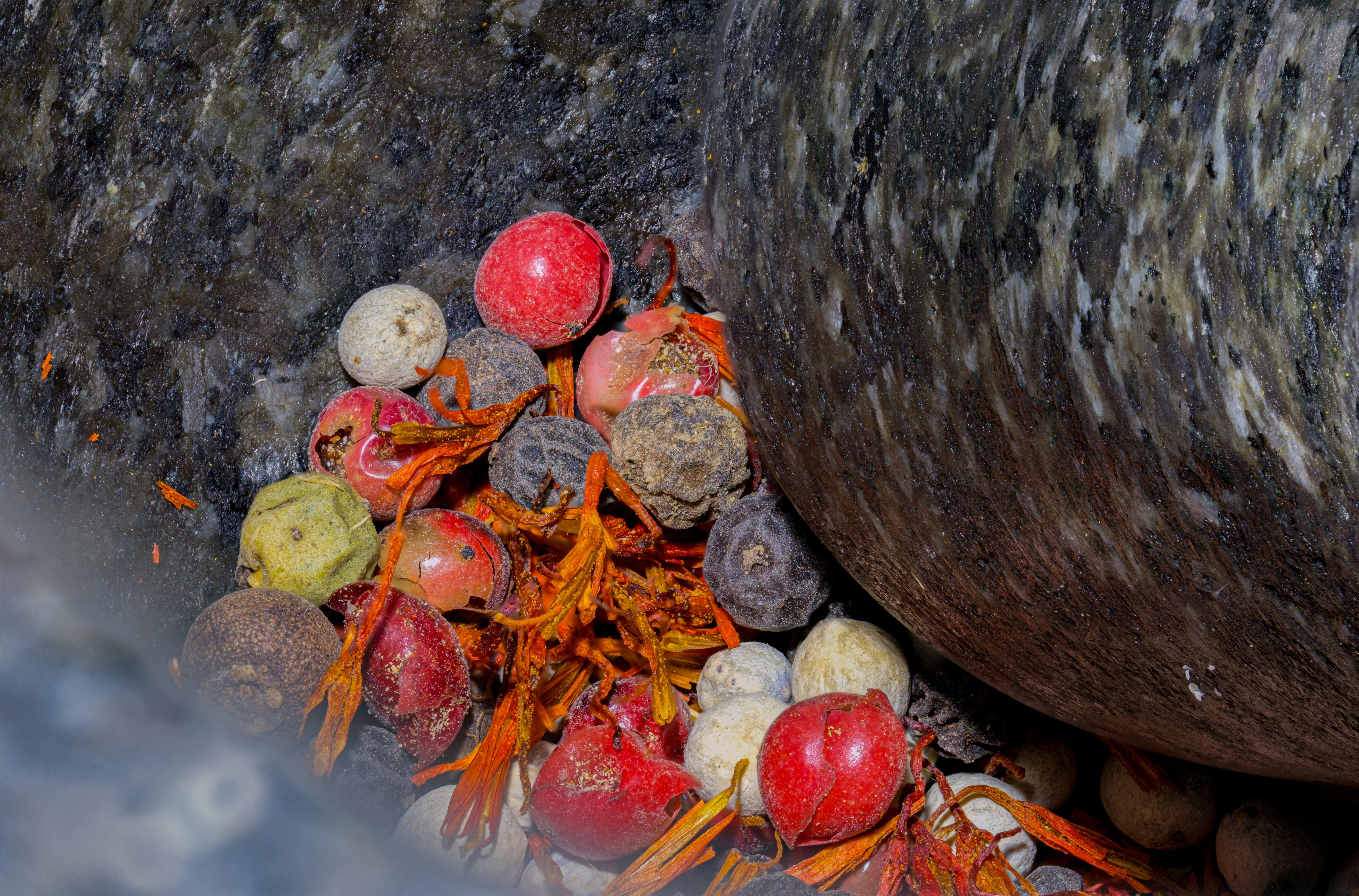 A pile of fruit sitting on top of a pile of rocks photo – Free Food ...