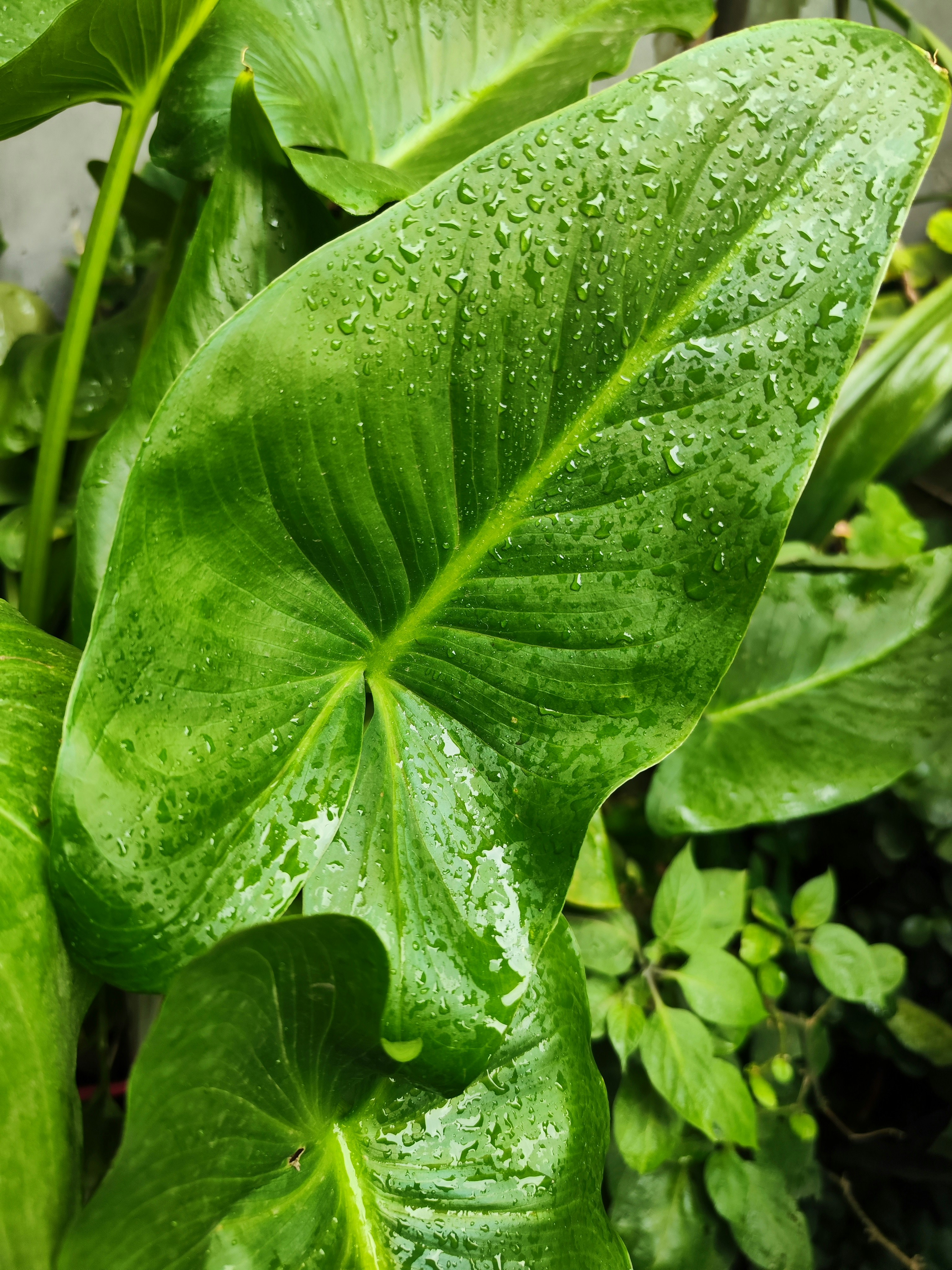 Photo by Javier Santos Guzmán with Xiaomi 12T Pro