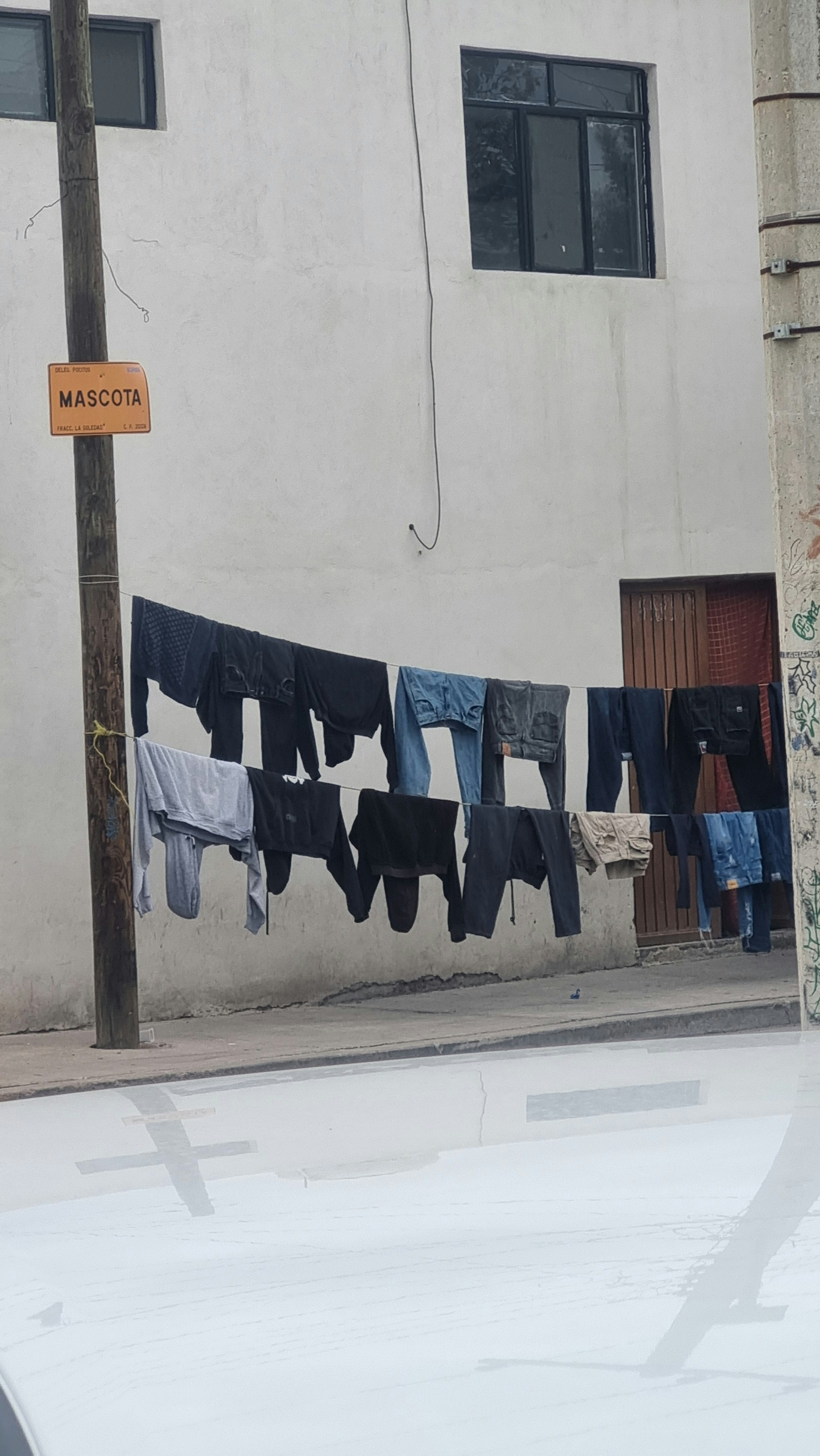 Clothesline Chorus Across a Quiet Street