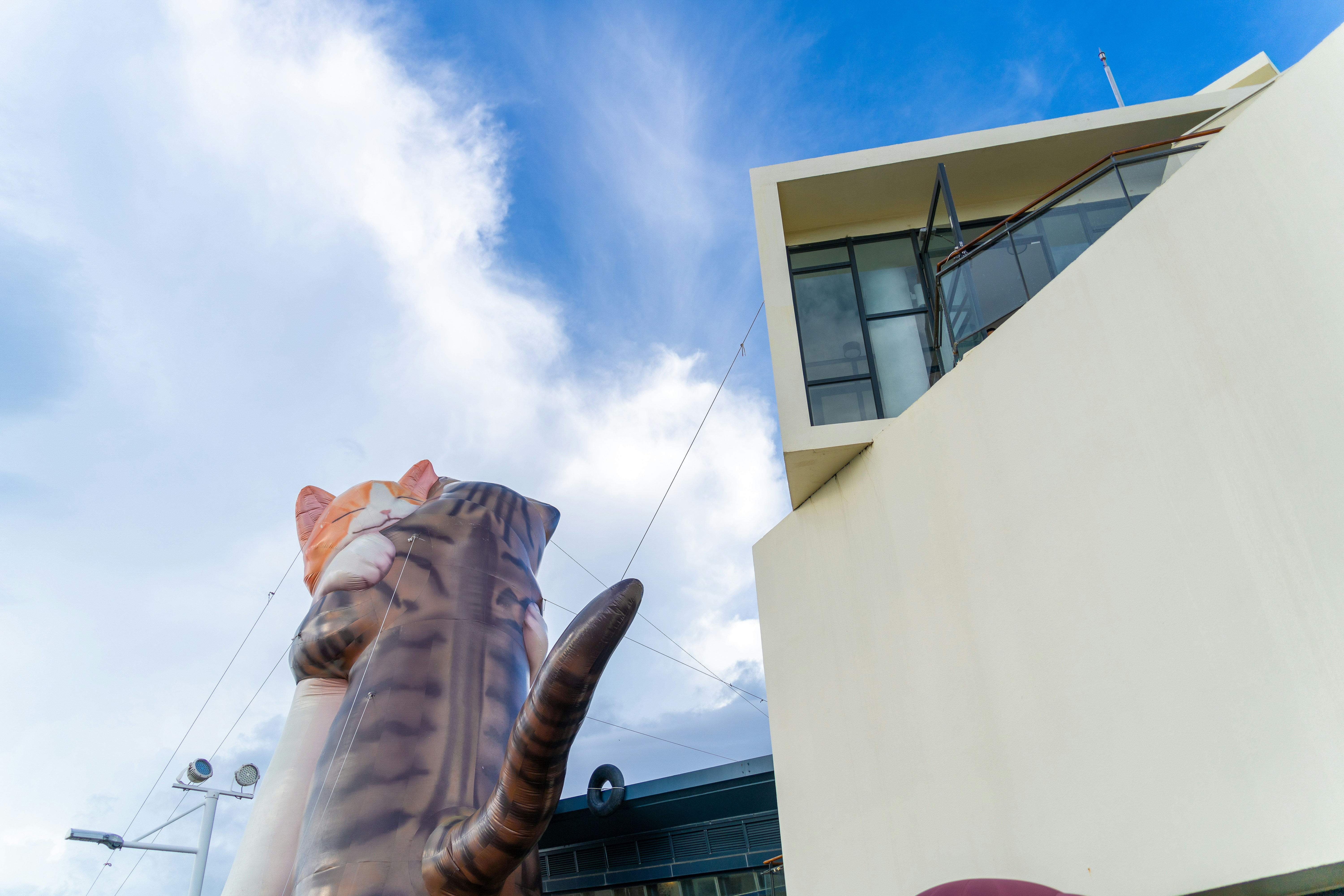 Oversized inflatable cat towering next to a modern building under a bright sky. The playful juxtaposition adds a unique charm to the urban landscape.