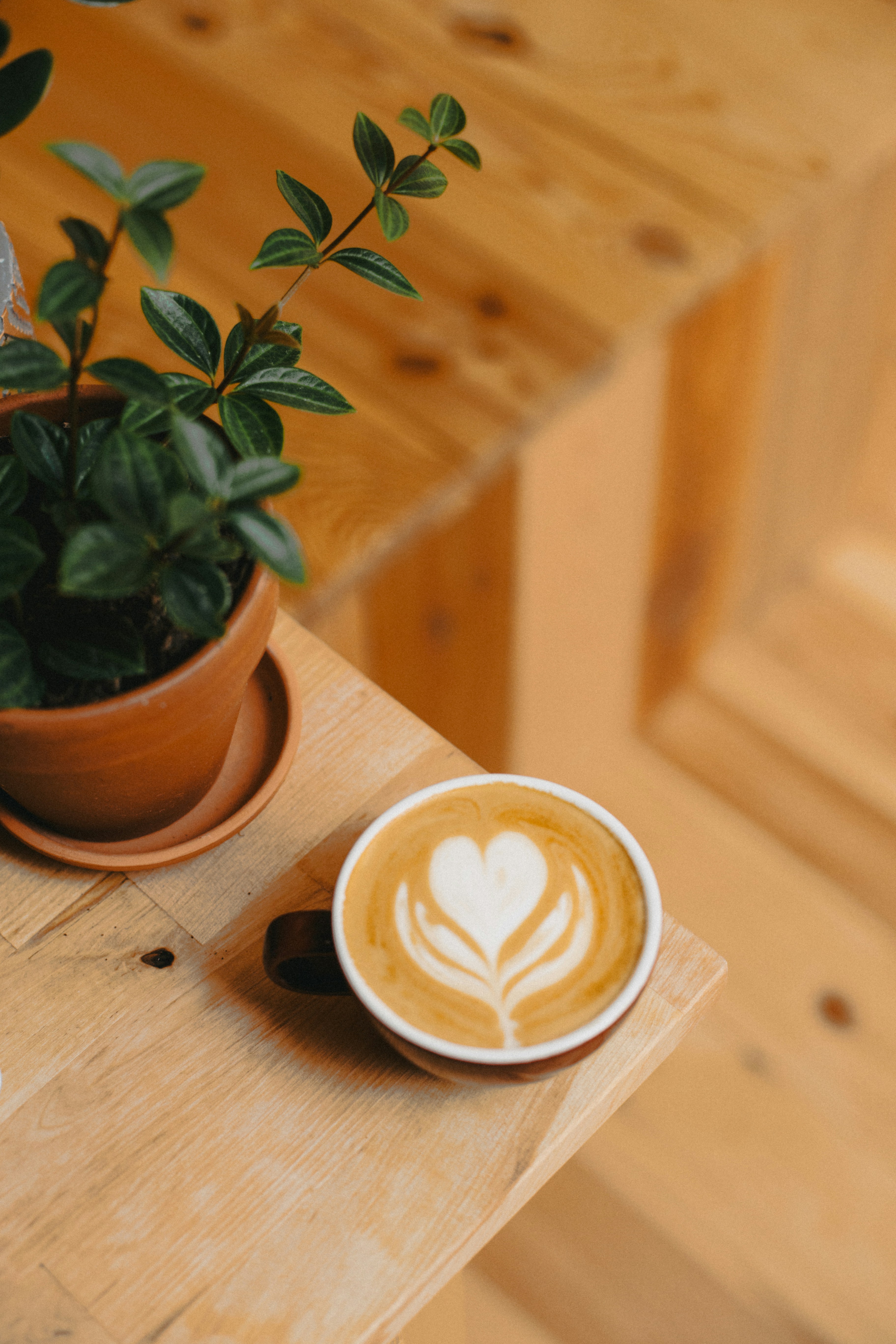 Coffee Wallpaper Pictures | Download Free Images on Unsplash
