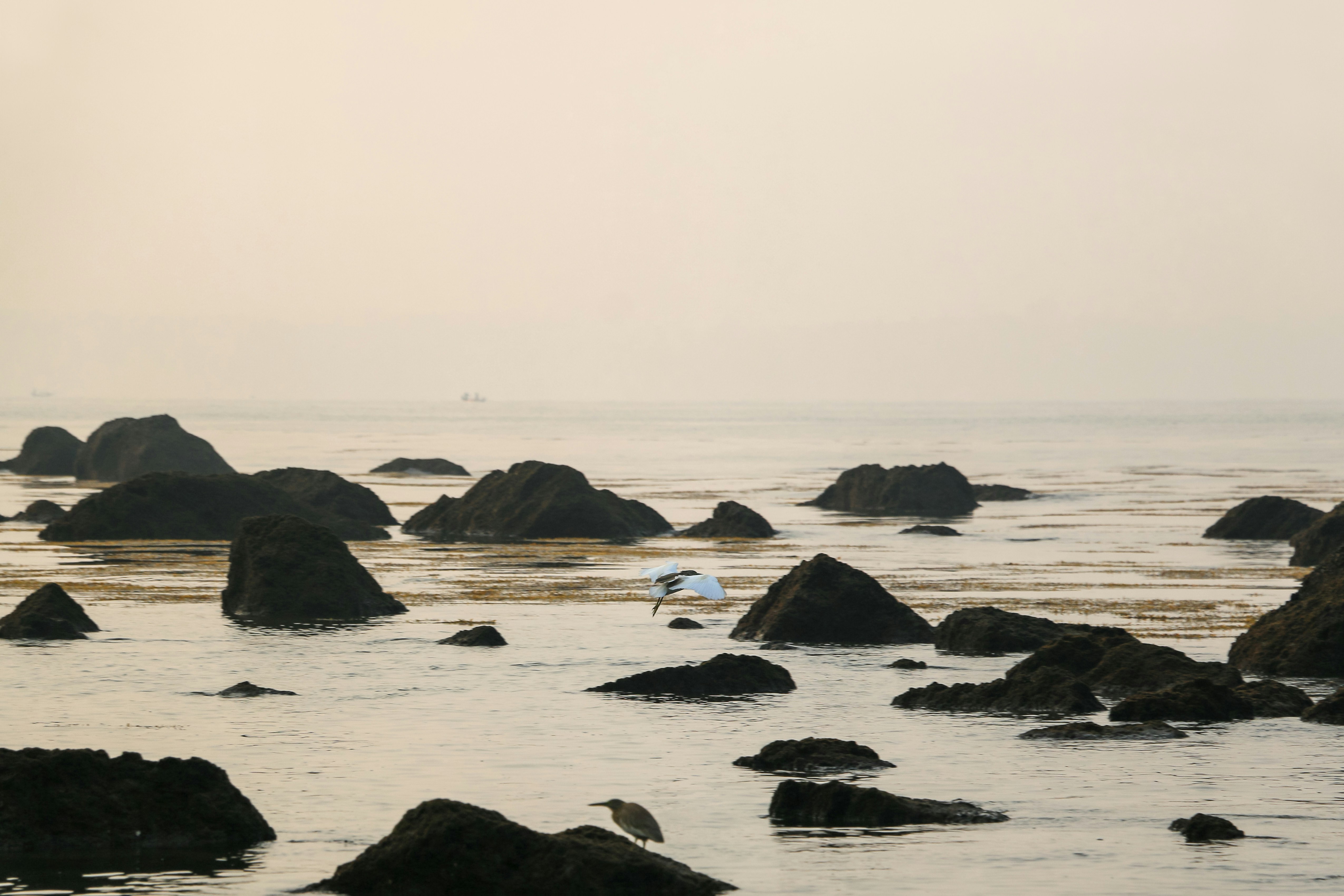 A large body of water surrounded by rocks photo – Free Goa Image on ...