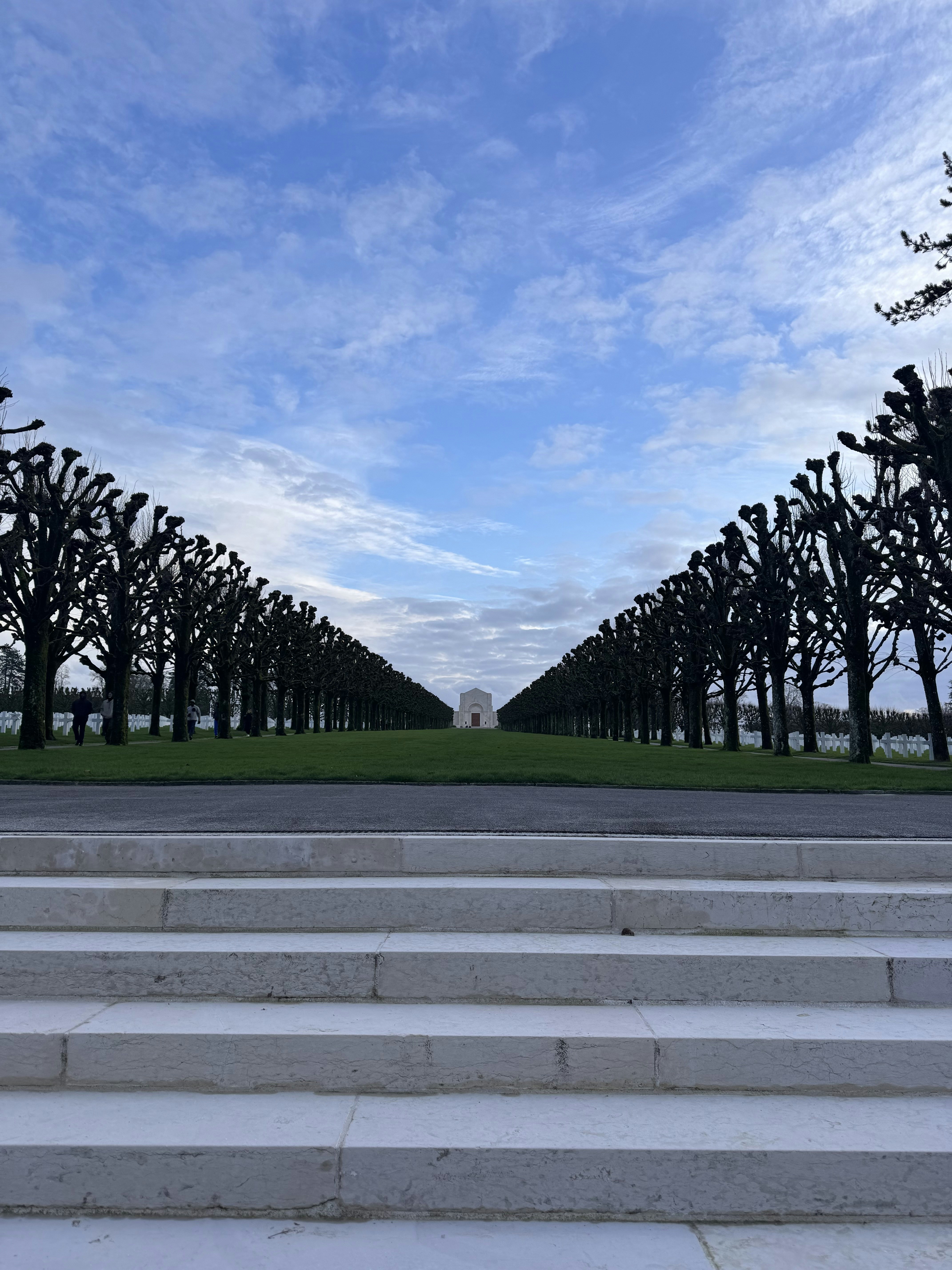 A bunch of steps that are next to some trees photo – Free Meuse-argonne ...