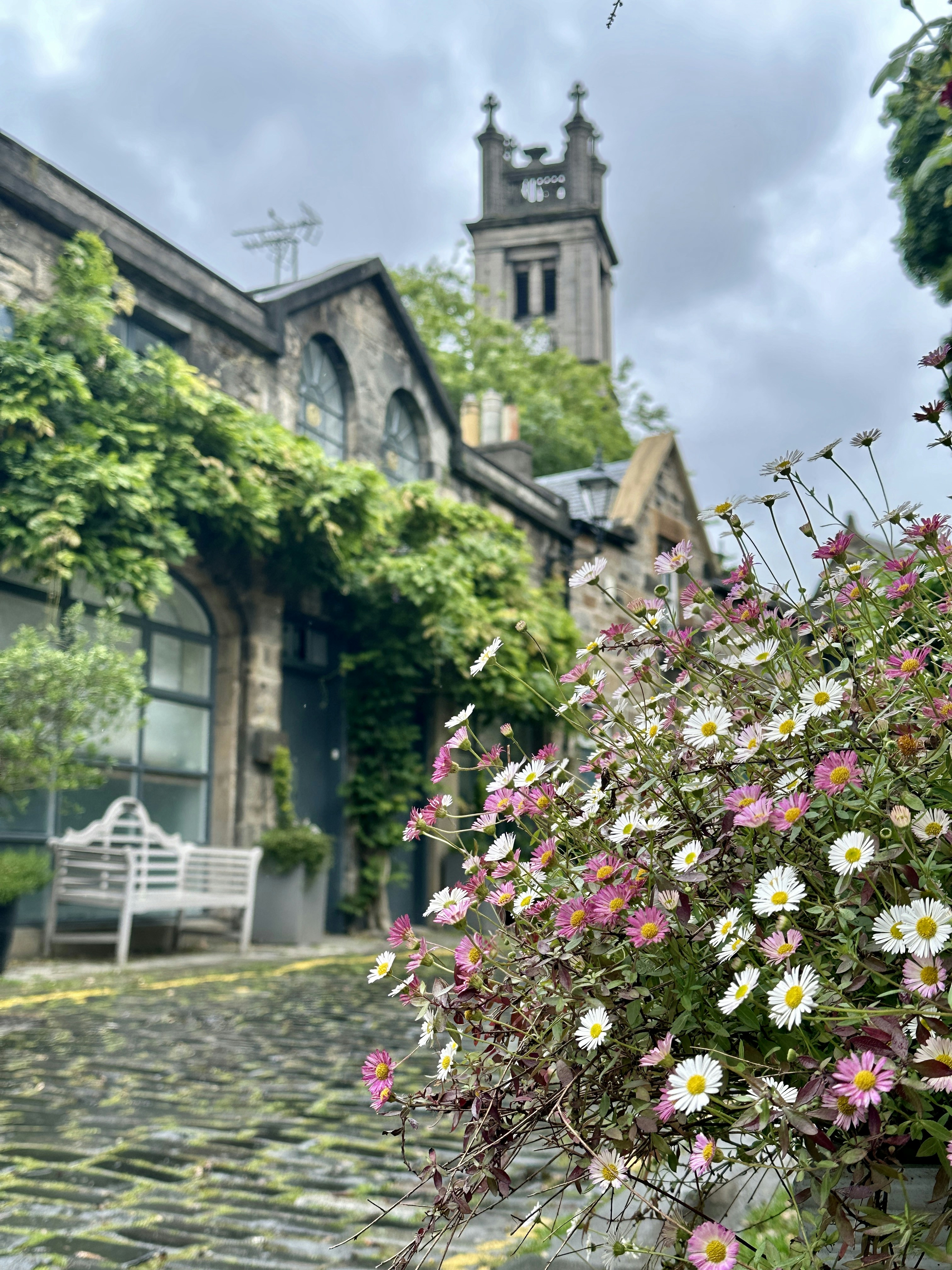Daisies Framing a Stone Courtyard Beneath a Tower